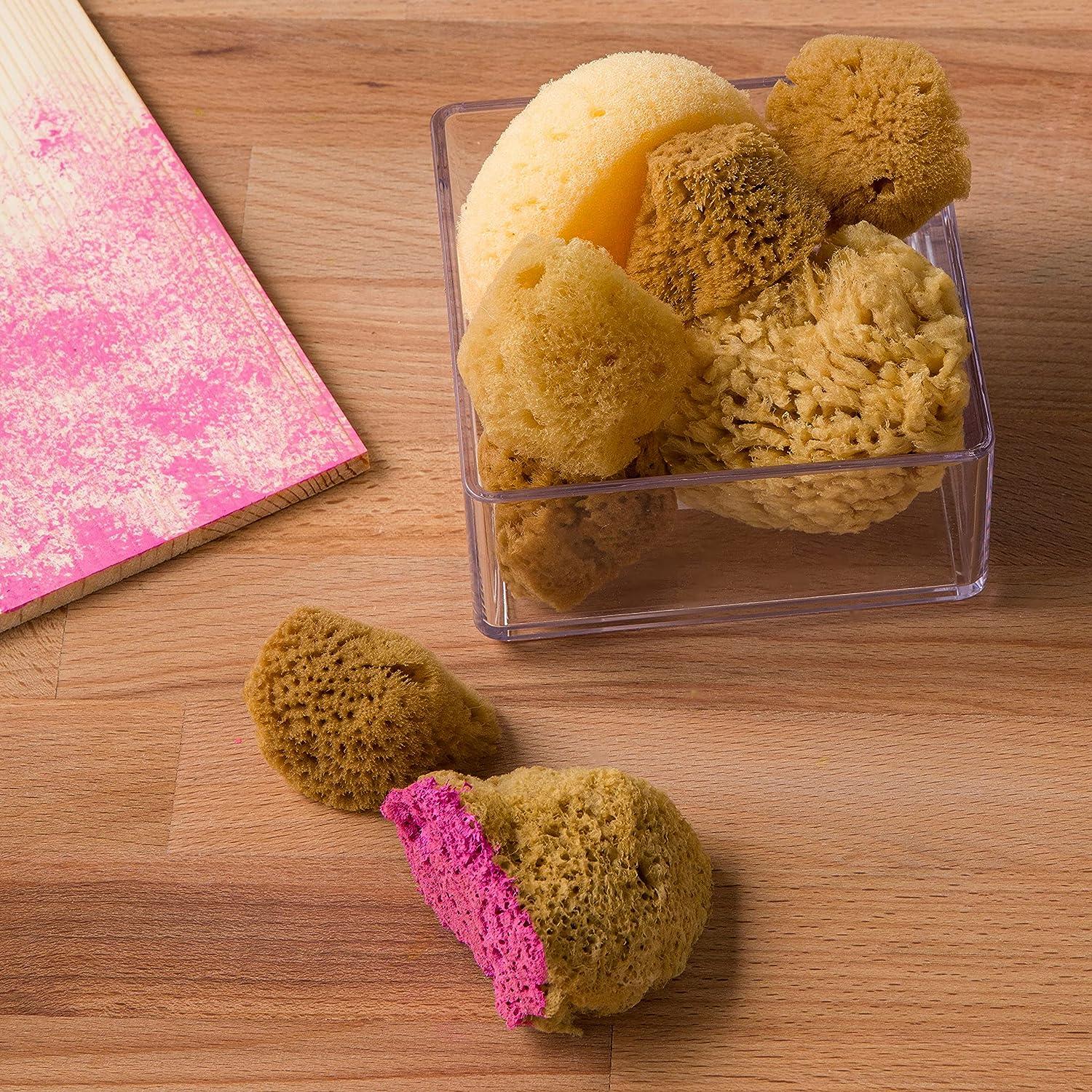 Craft Smart Artist Sponges Set - 8 Natural & Synthetic Pieces | Buy Now ...