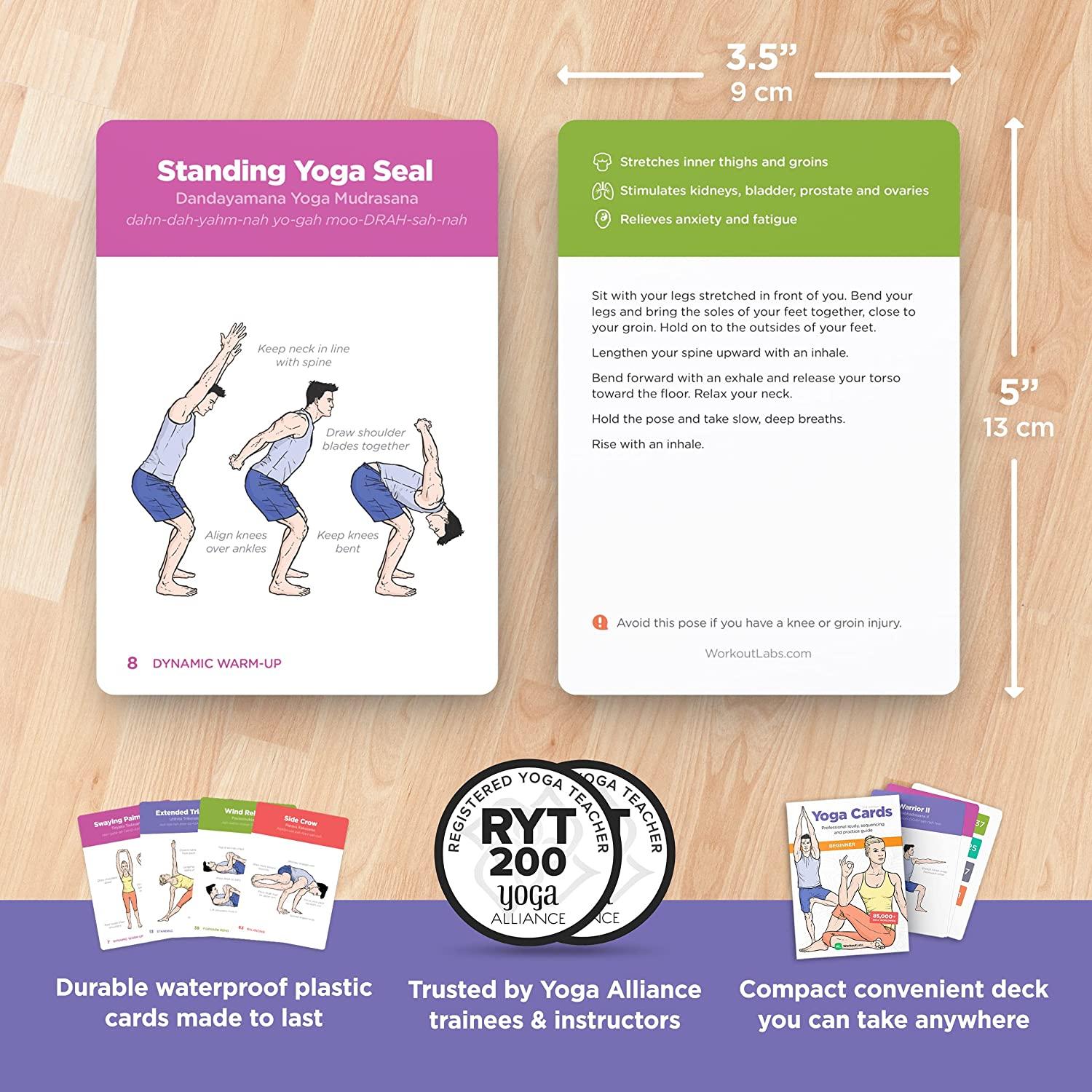 Beginner Yoga Cards Deck: Visual Study & Practice Guide with Essential ...