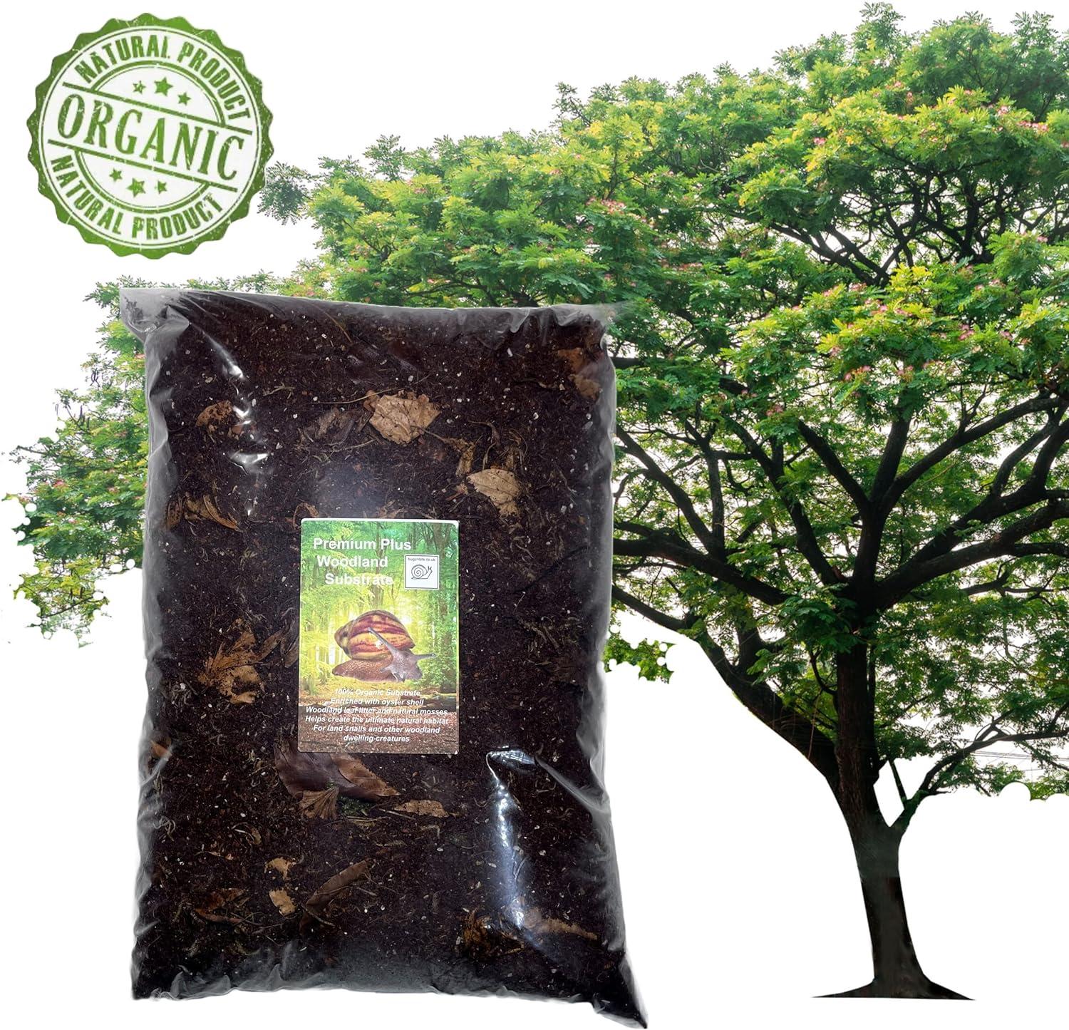 Bugznbits Premium Plus + Woodland Land Snail Soil. African land snail ...