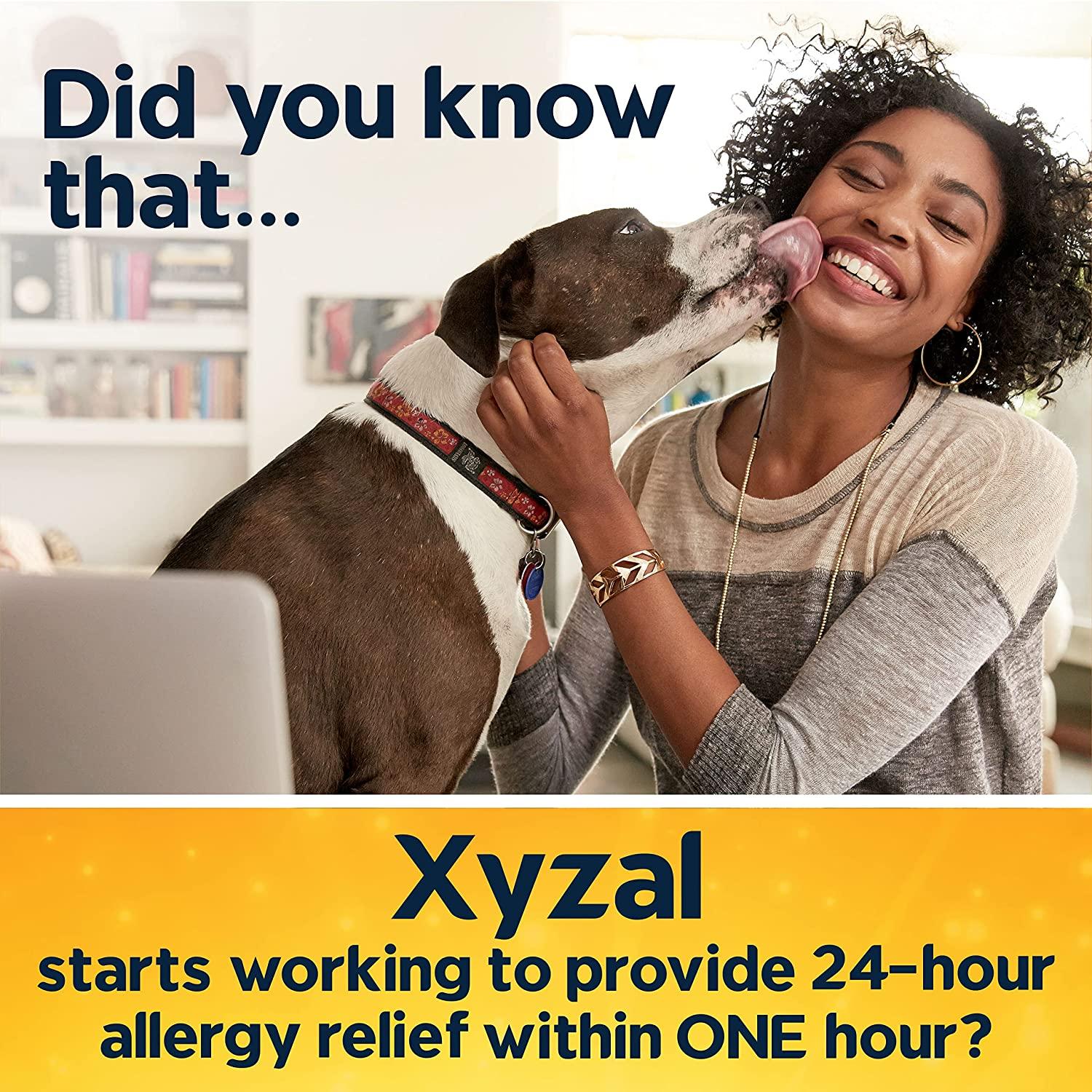 Xyzal 24-Hour Allergy Relief Pills - 80-Count | Original Prescription ...