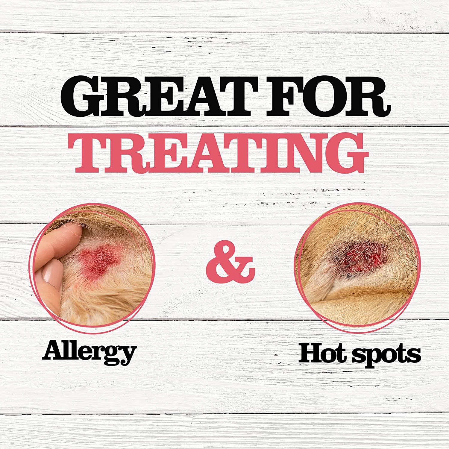 Dr. Pol Anti Itch Spray for Dogs and Cats - 8 oz - Skin Allergy Relief ...