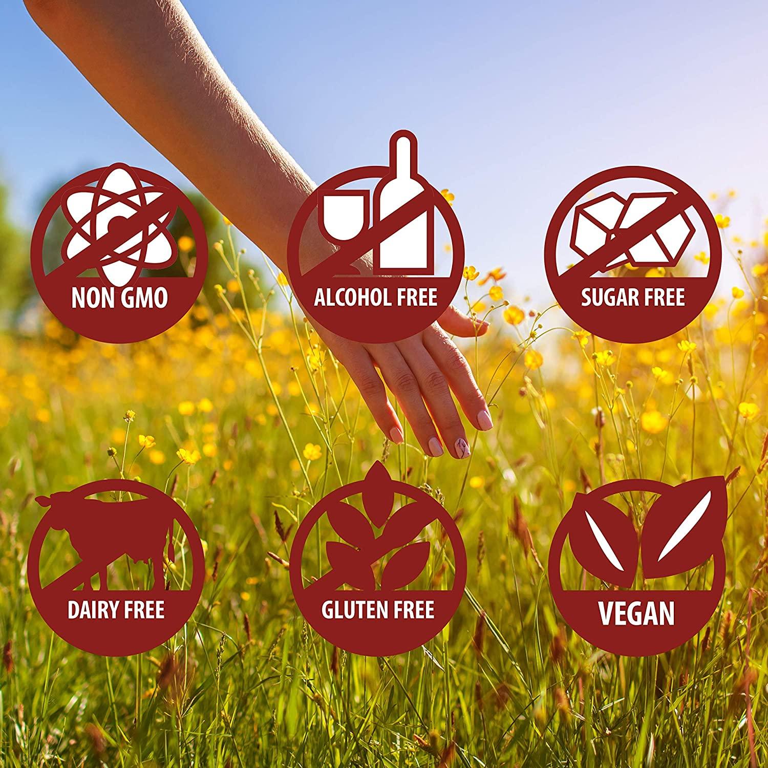 Siddha Remedies Lung & Sinus Spray - Homeopathic Relief for Sinus ...