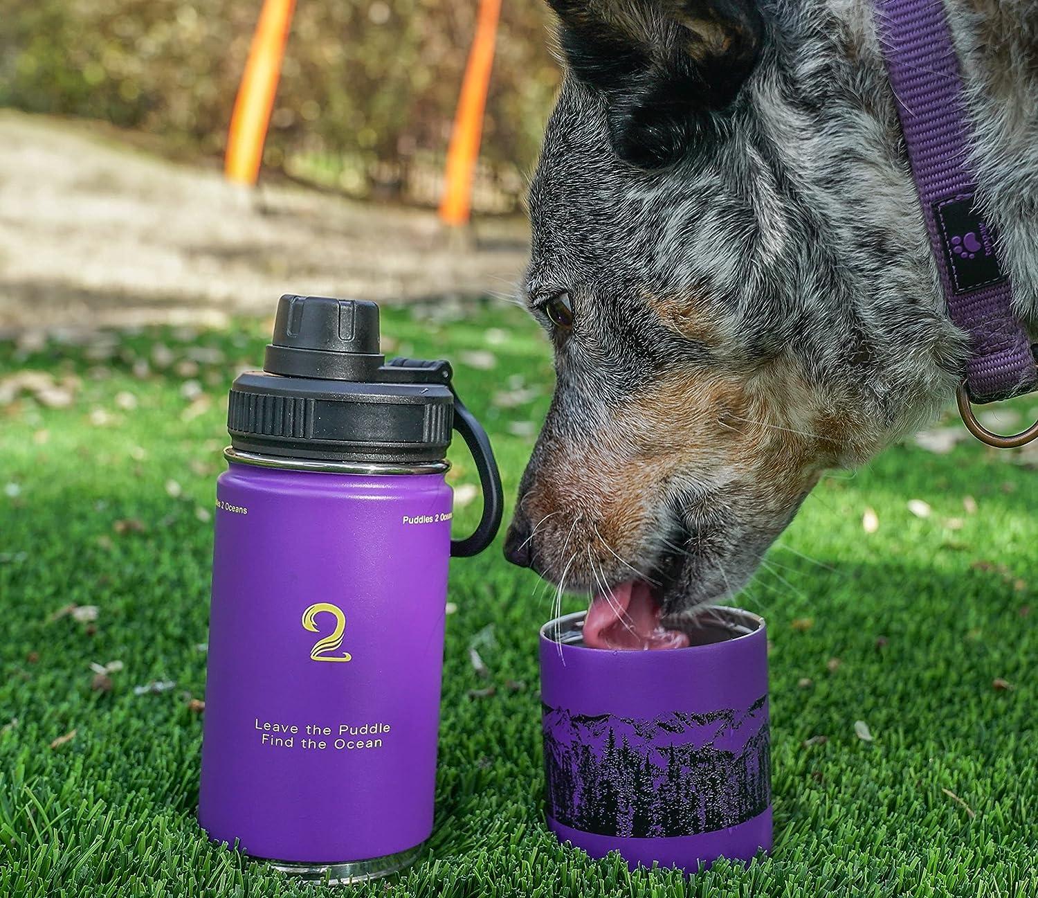 Puddles 2 Oceans Stainless Steel Water Bottle with Snack Compartment ...