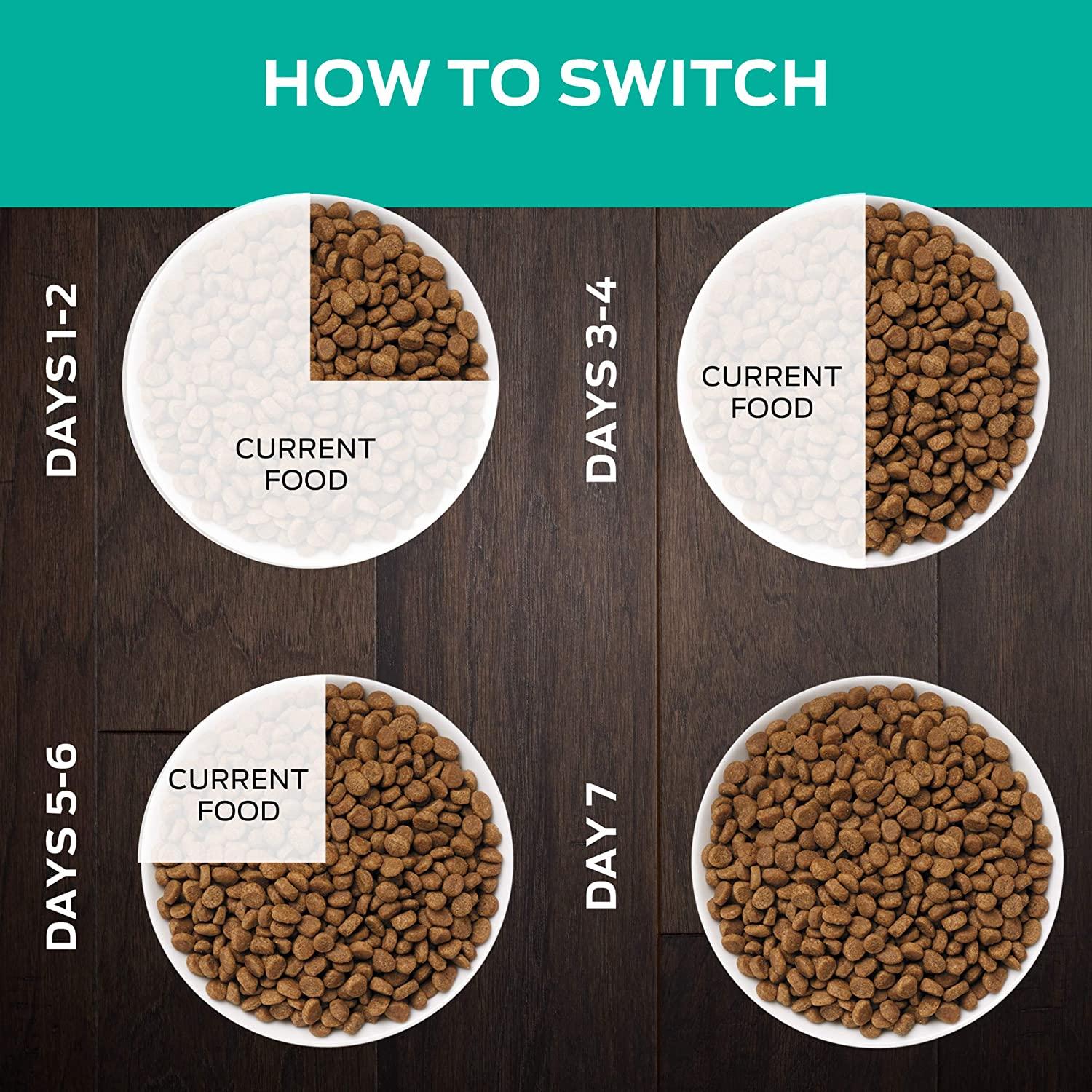 Purina Pro Plan EN Gastroenteric Naturals Feline Dry Cat Food - 6 lb ...