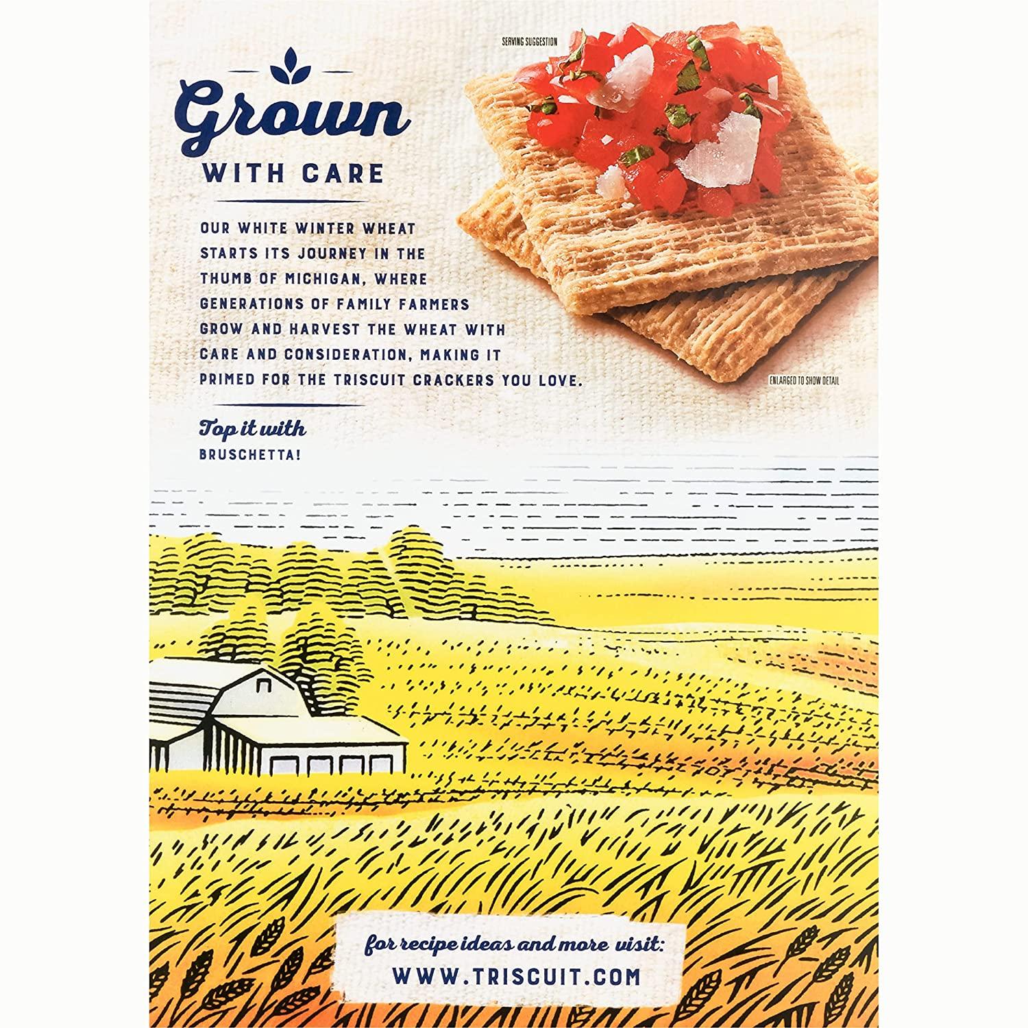 Triscuit Roasted Garlic Whole Grain Wheat Crackers Family Size 12.5 oz ...