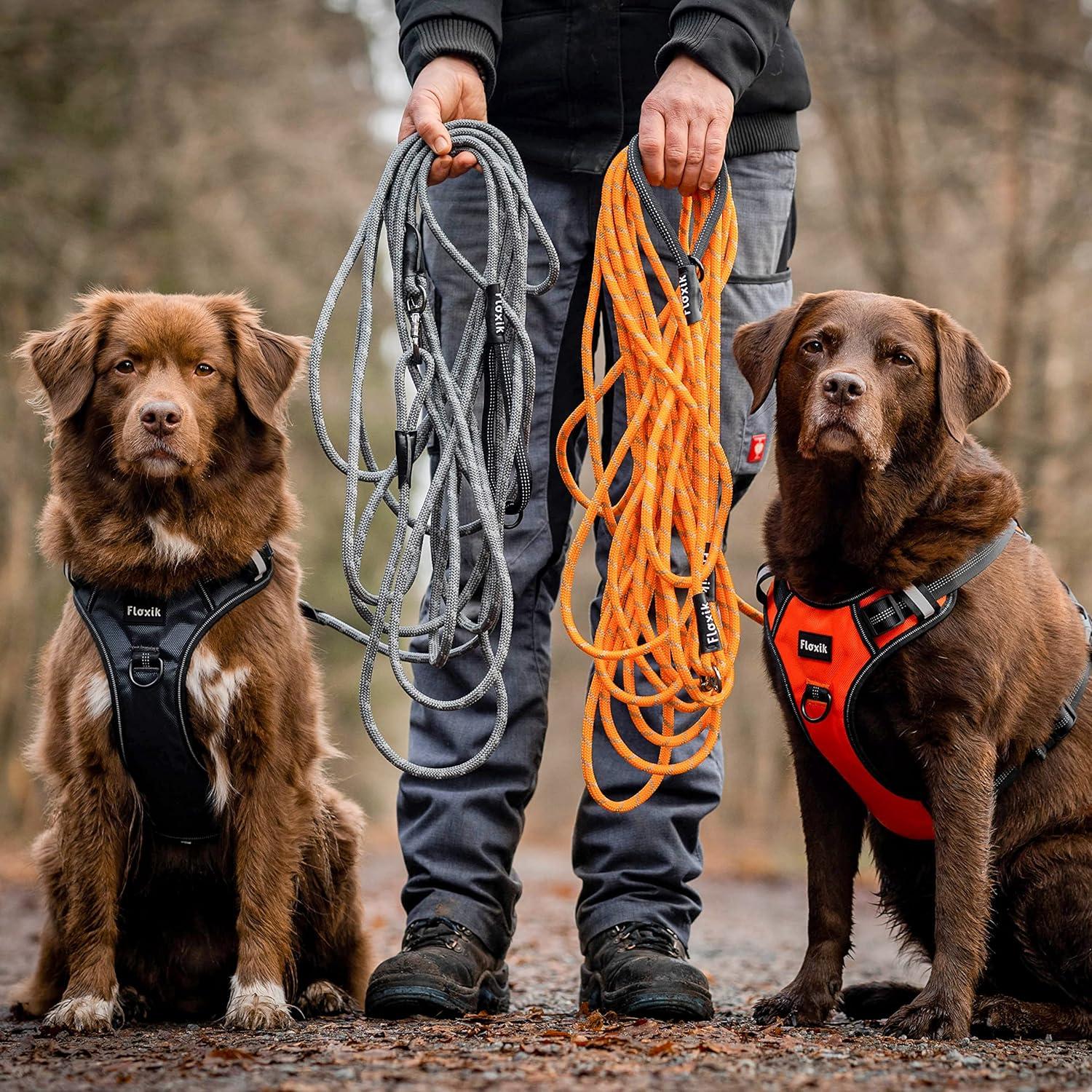 Floxic Reflective Tow Lines for Dogs - 5m 10m 15m 20m | Ideal Training ...