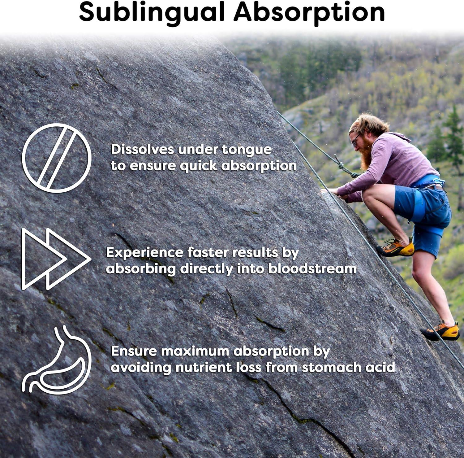 Wellgenix Bio-Available Sublingual B12 B6 Folic Acid Vitamin Supplement ...