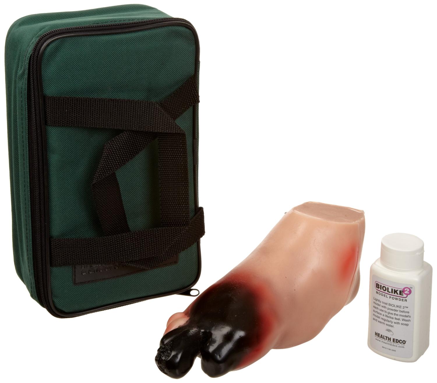 Buy Health Edco W43107A Biolike Severe Diabetic Foot Model - Realistic ...