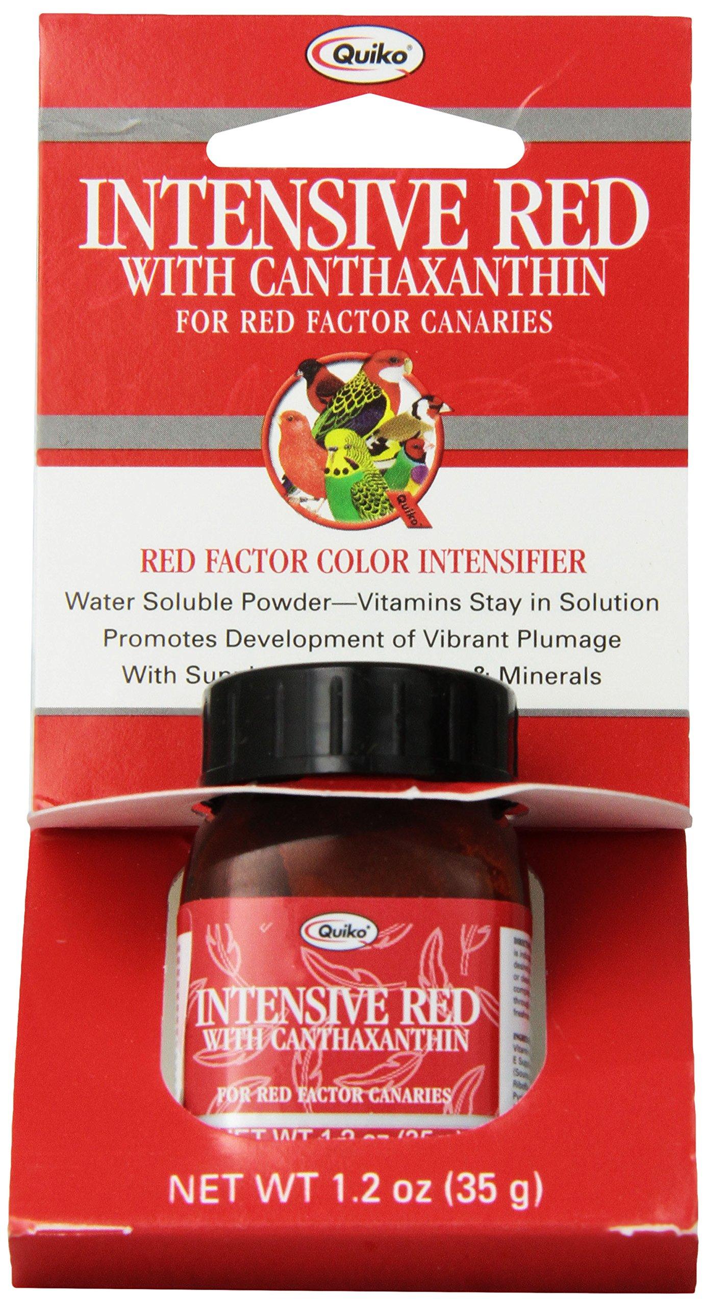 Quiko Intensive Red Color Enhancer for Red-Factor Canaries 1.2oz | Buy ...