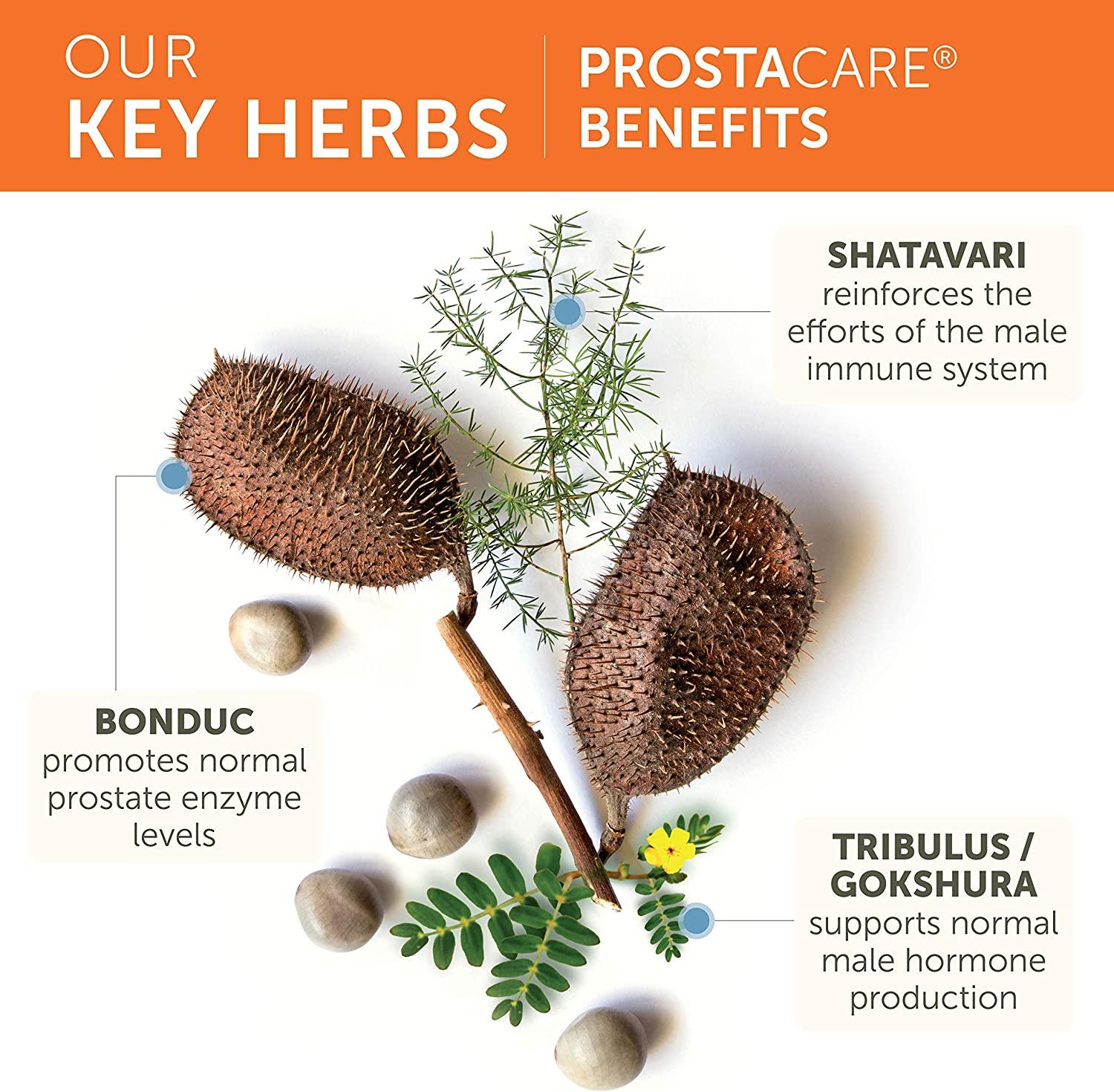 Himalaya ProstaCare 240 Vegetarian Capsules - Natural Support for ...