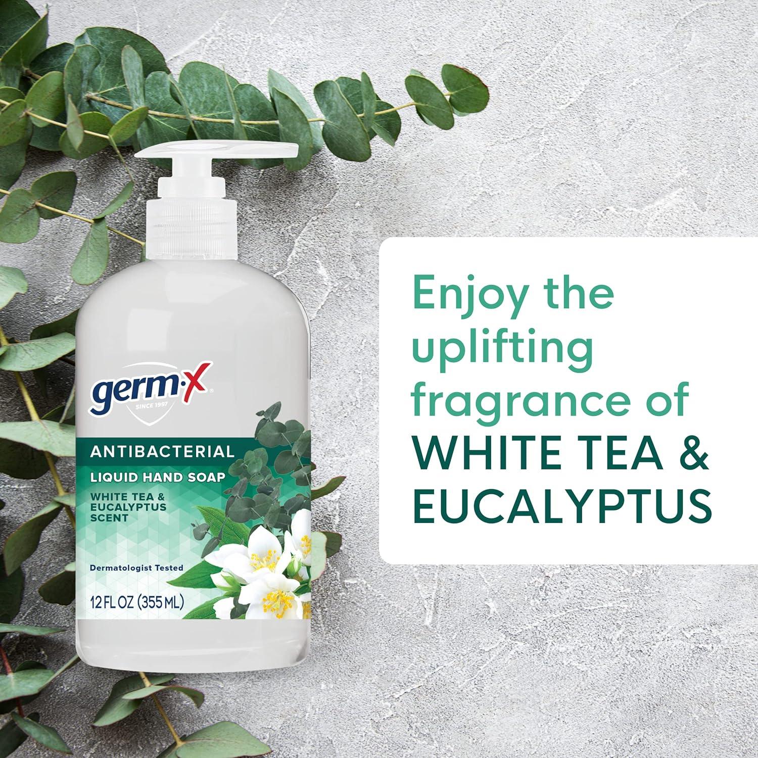 Germ-X Antibacterial Hand Soap Moisturizing Liquid Hand Wash for Kitchen pH Balanced ...