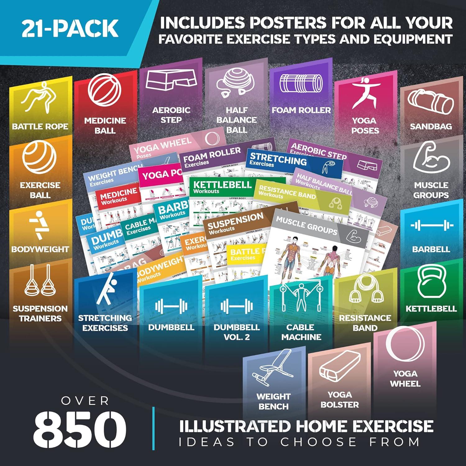Laminated 21-PACK Workout Poster Set for Home Gym - Dumbbell, Yoga ...