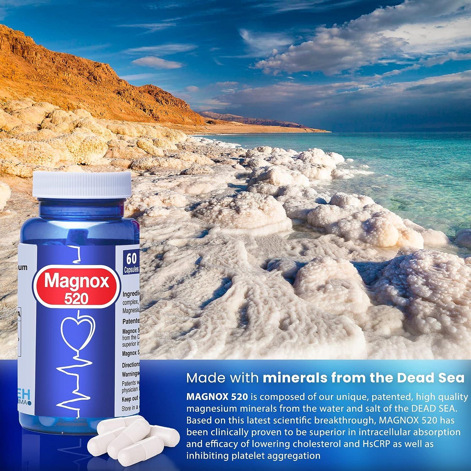 MAGNOX 520 - High Absorption 520mg Magnesium Supplement with Dead Sea ...