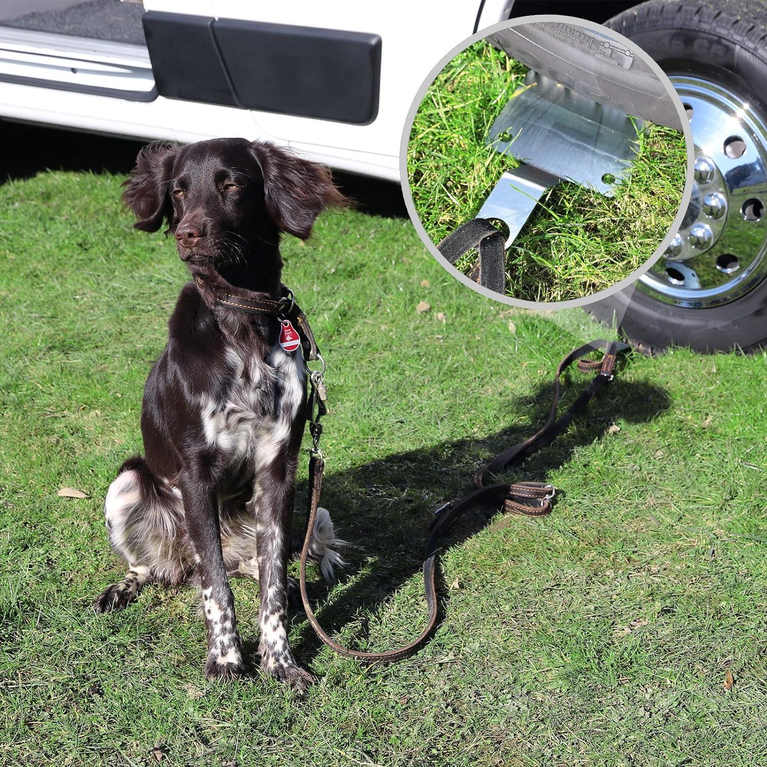 Dogsitter Stainless Steel Ground Anchor for Dogs | Dog Anchor | Base ...