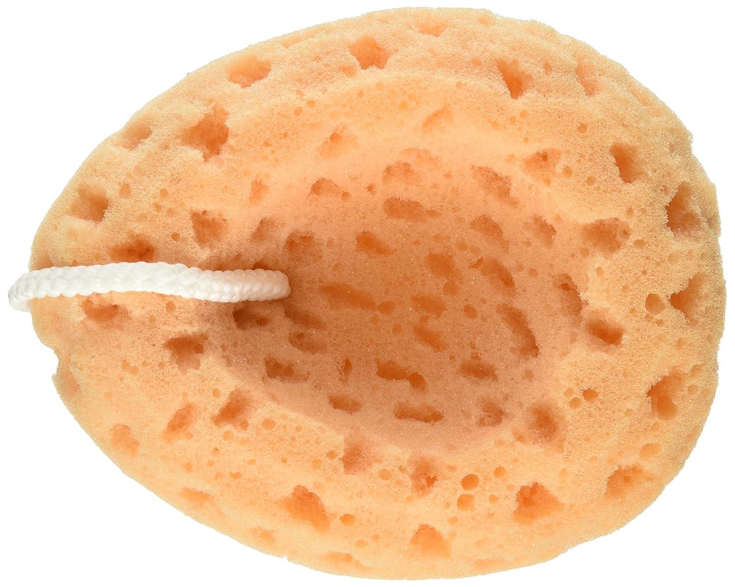 Body Benefits 2-Pack Faux Sea Sponges - Natural Exfoliating Skincare ...