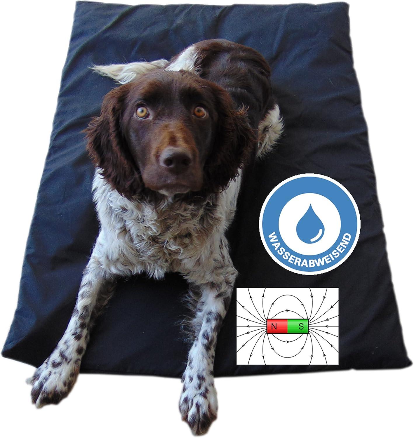 Biomagnet24 Magnetic Field Mat 80x60cm - Therapy for Osteoarthritis ...