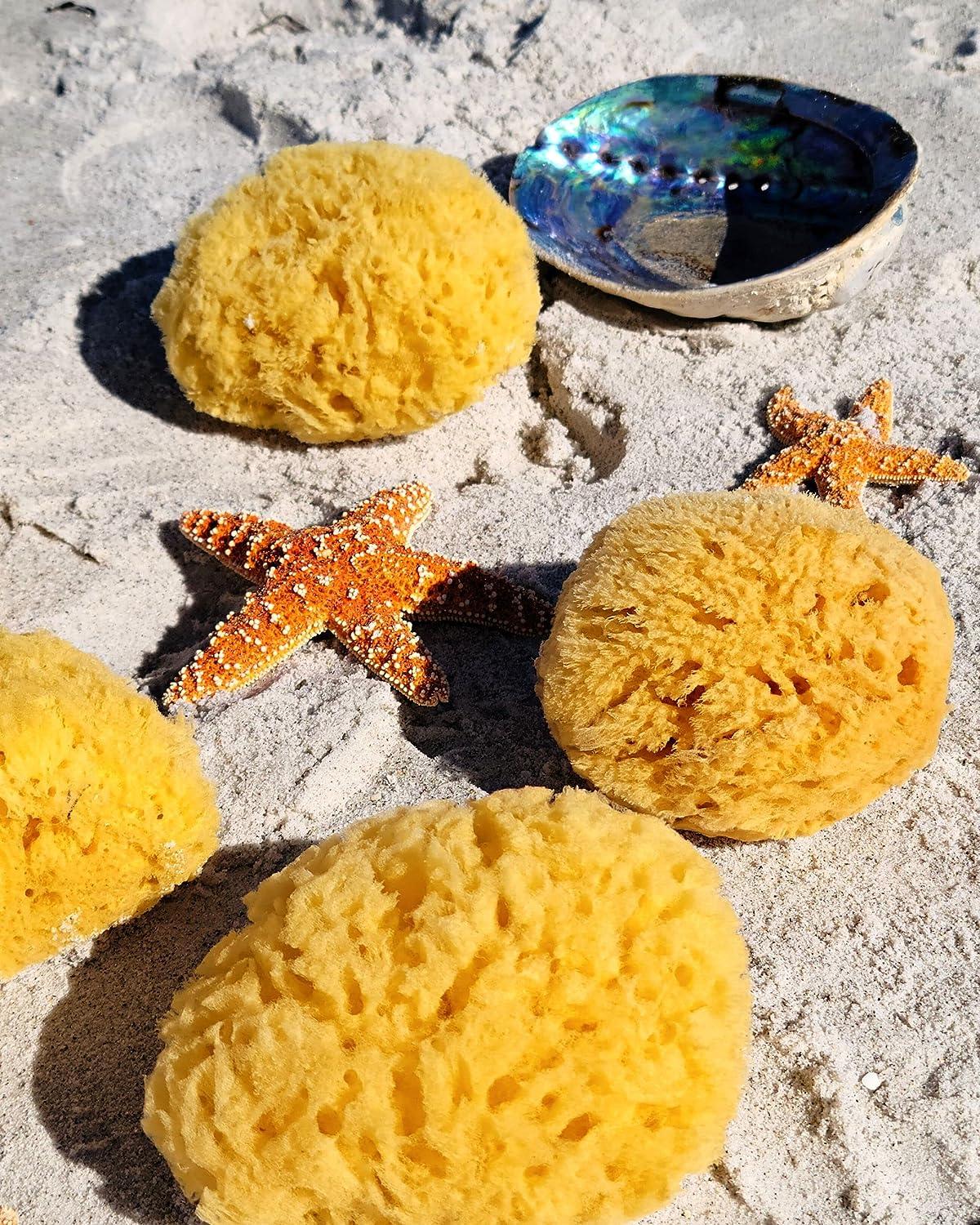 Natural Bath Sponge Set with Organic Loofah and Himalayan Salt Chunk ...