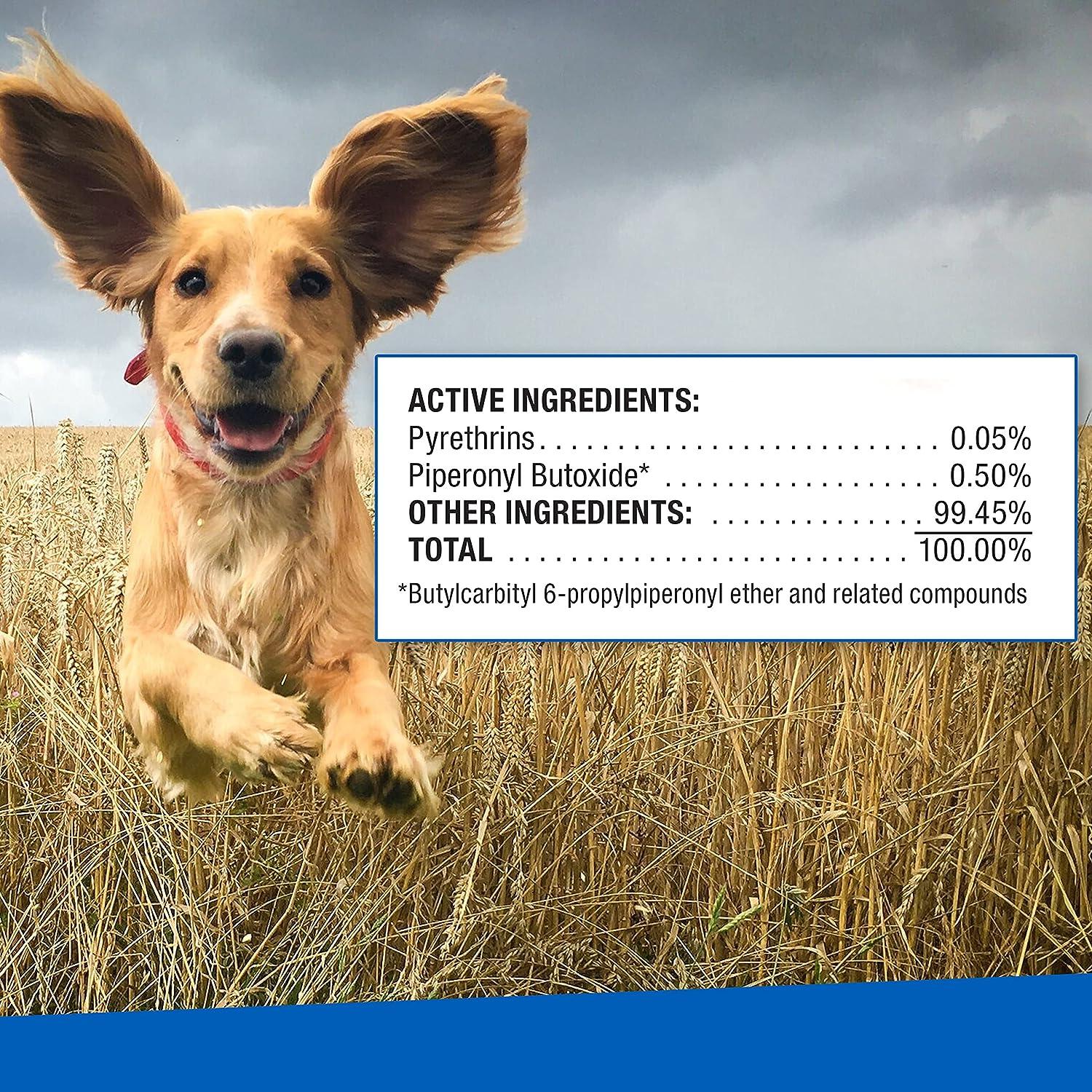 Adams Ear Mite Treatment For Dogs and Cats Over 12 Weeks Kills Ear ...