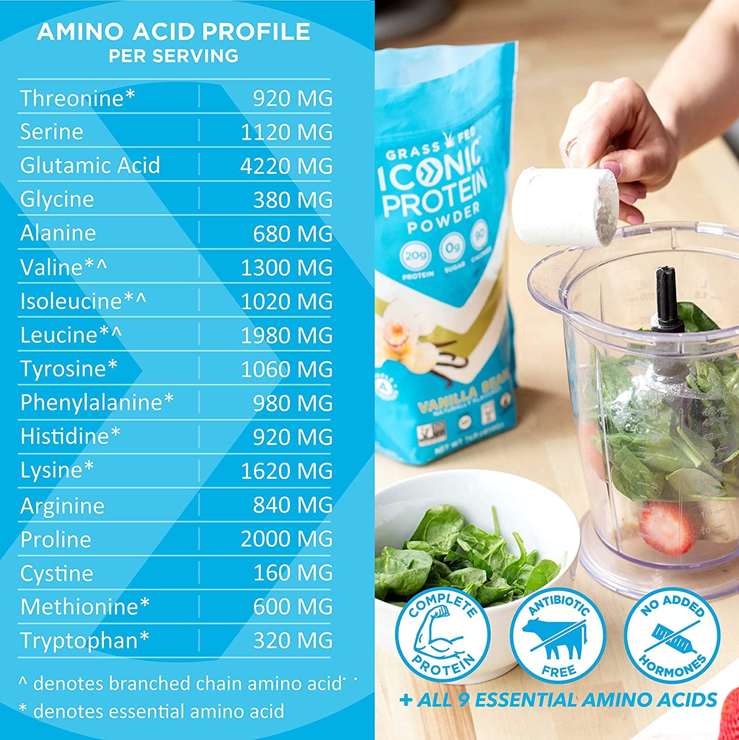 Iconic Protein Powder Vanilla Bean - Sugar Free, Low Carb, Keto, 20g ...