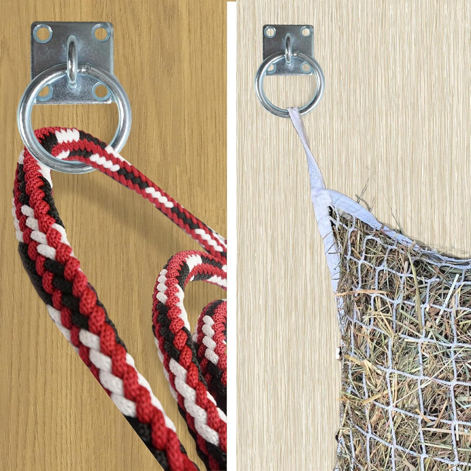 High-Quality Stainless Steel Tie Ring | Perfect for Tying Horses ...