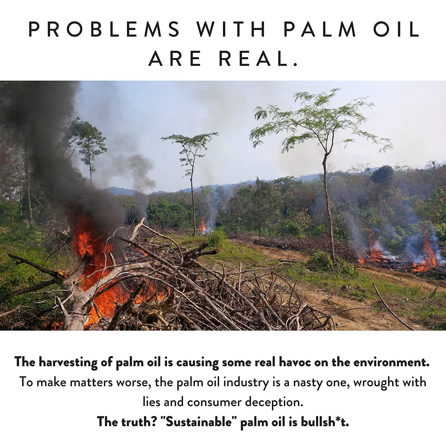 Peet Bros Olive Oil Moisturizing Soap Bar - 5 oz Palm Oil-Free ...