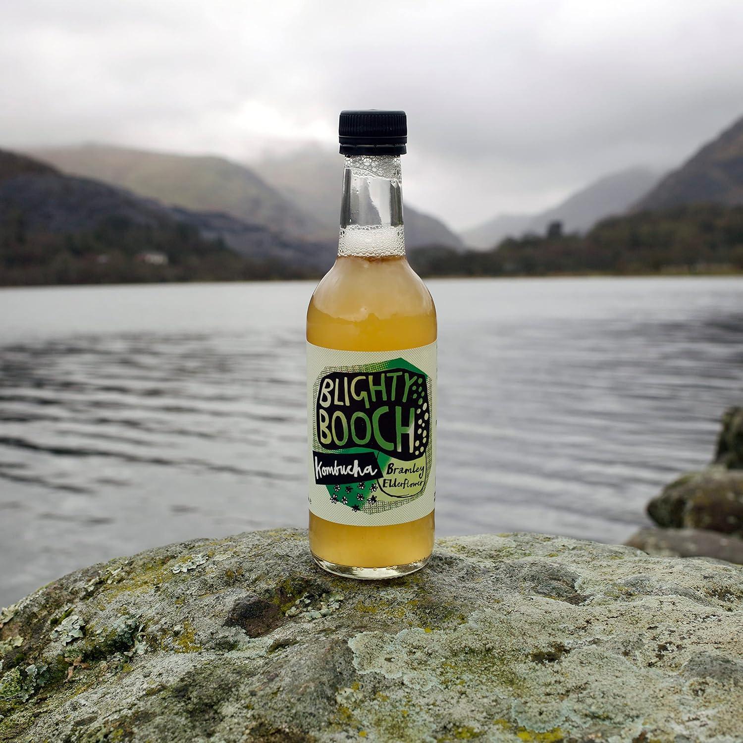 Blighty Booch Kombucha Bottled Tea Drink - 12 x Bramley Elderflower ...