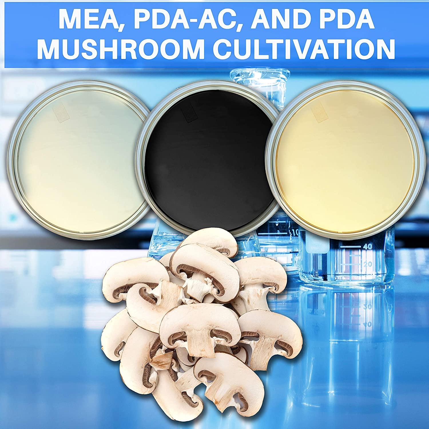 Agar Variety Kit by Evviva Sciences - Premium Performance for Mushrooms ...