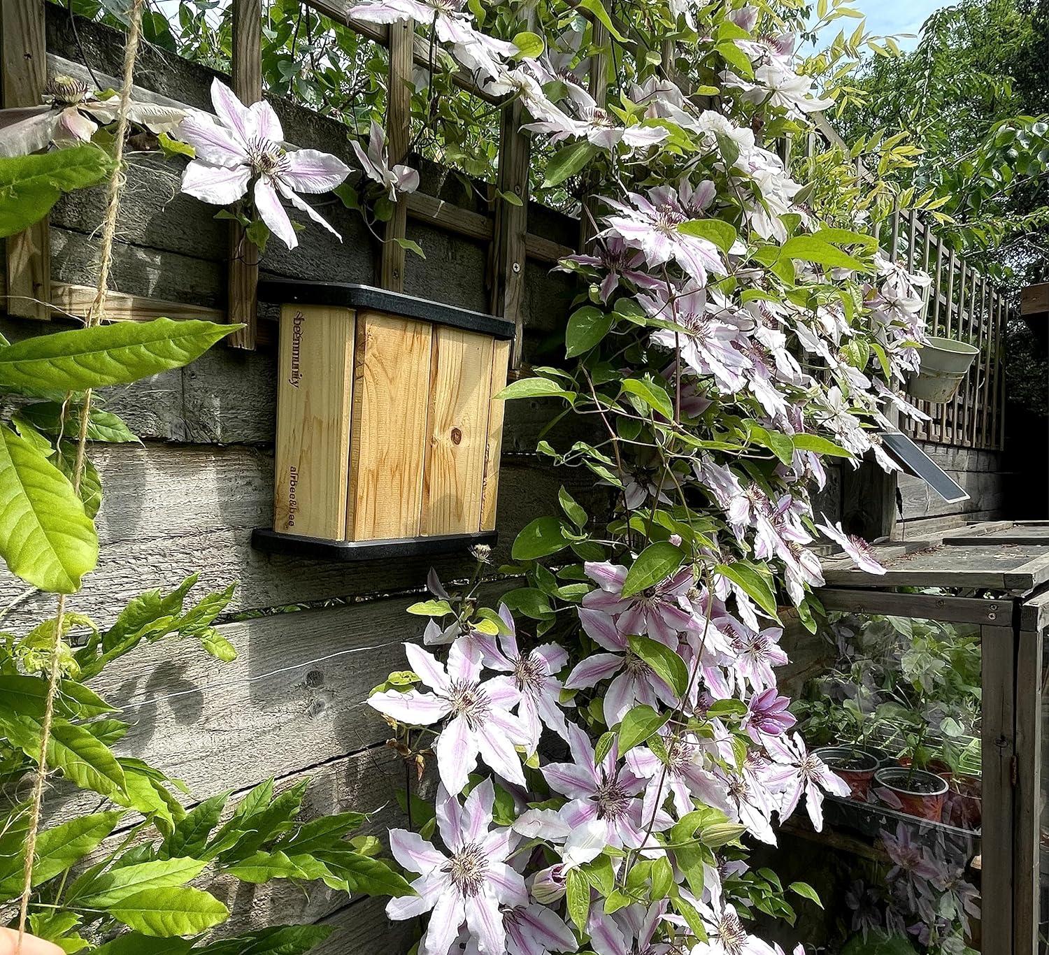 AirBee Bee Pollinator Hotel Interactive Home Pollinators Watch Bees ...