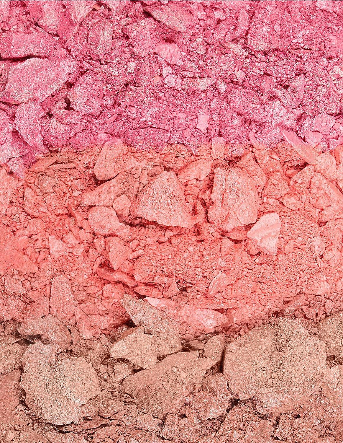 RealHer Everyday Blush Kit: Shimmers, Bronzer, Highlighting Cheek Color ...