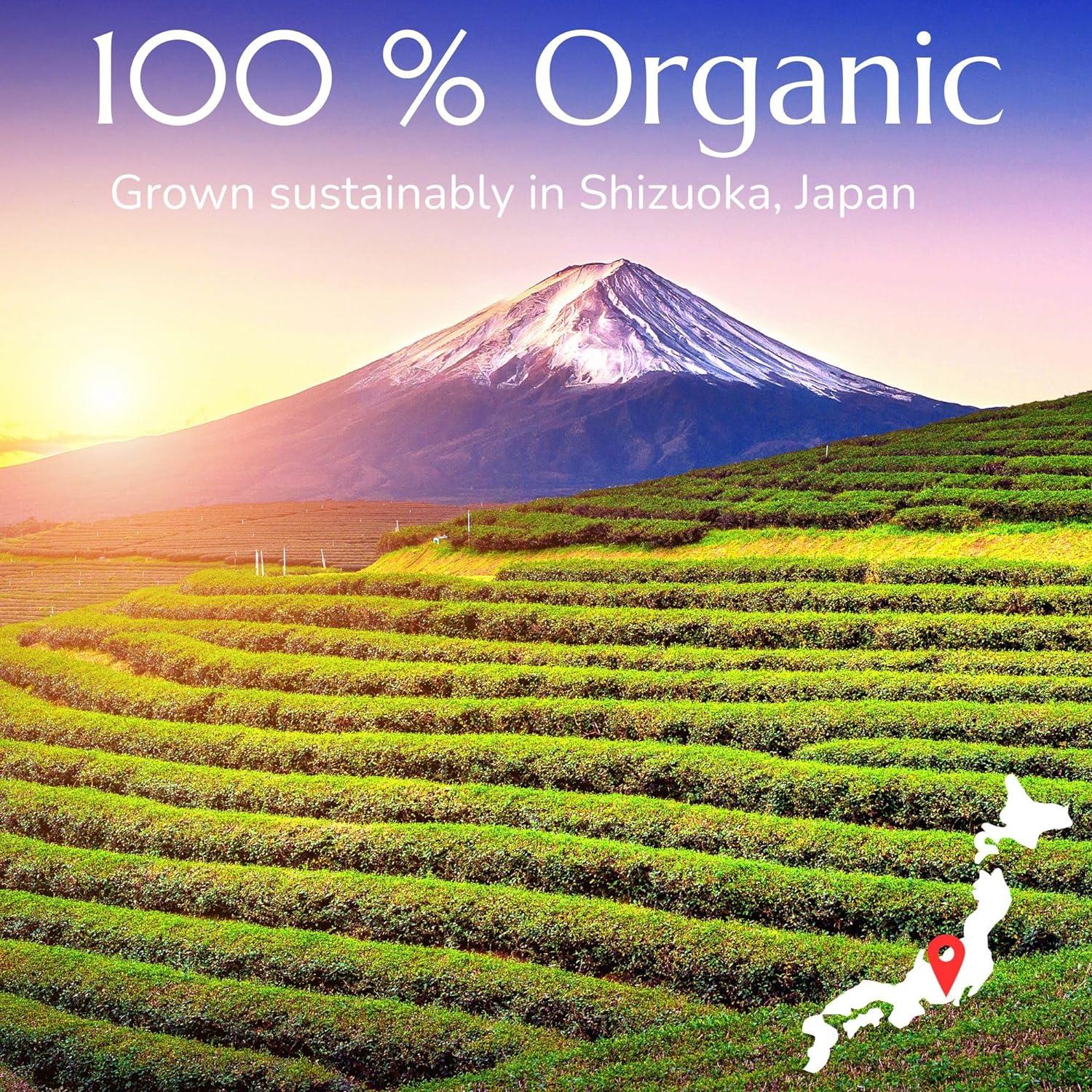 Anna's Teapot Matcha Toasted Rice - Organic Japanese Green Tea Matcha ...