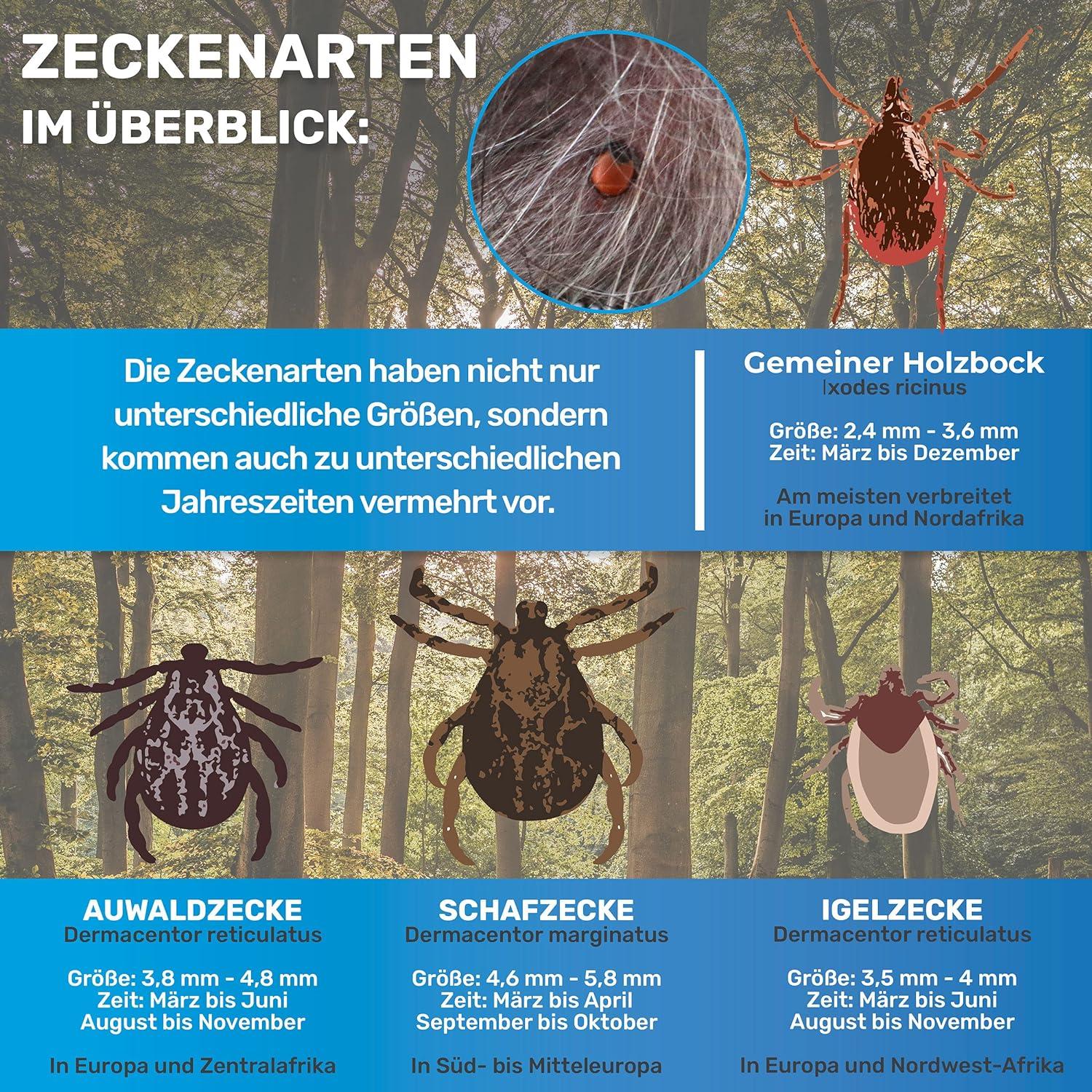 Bluepet Tick Card with Magnifying Glass - Tick Remover for Humans ...