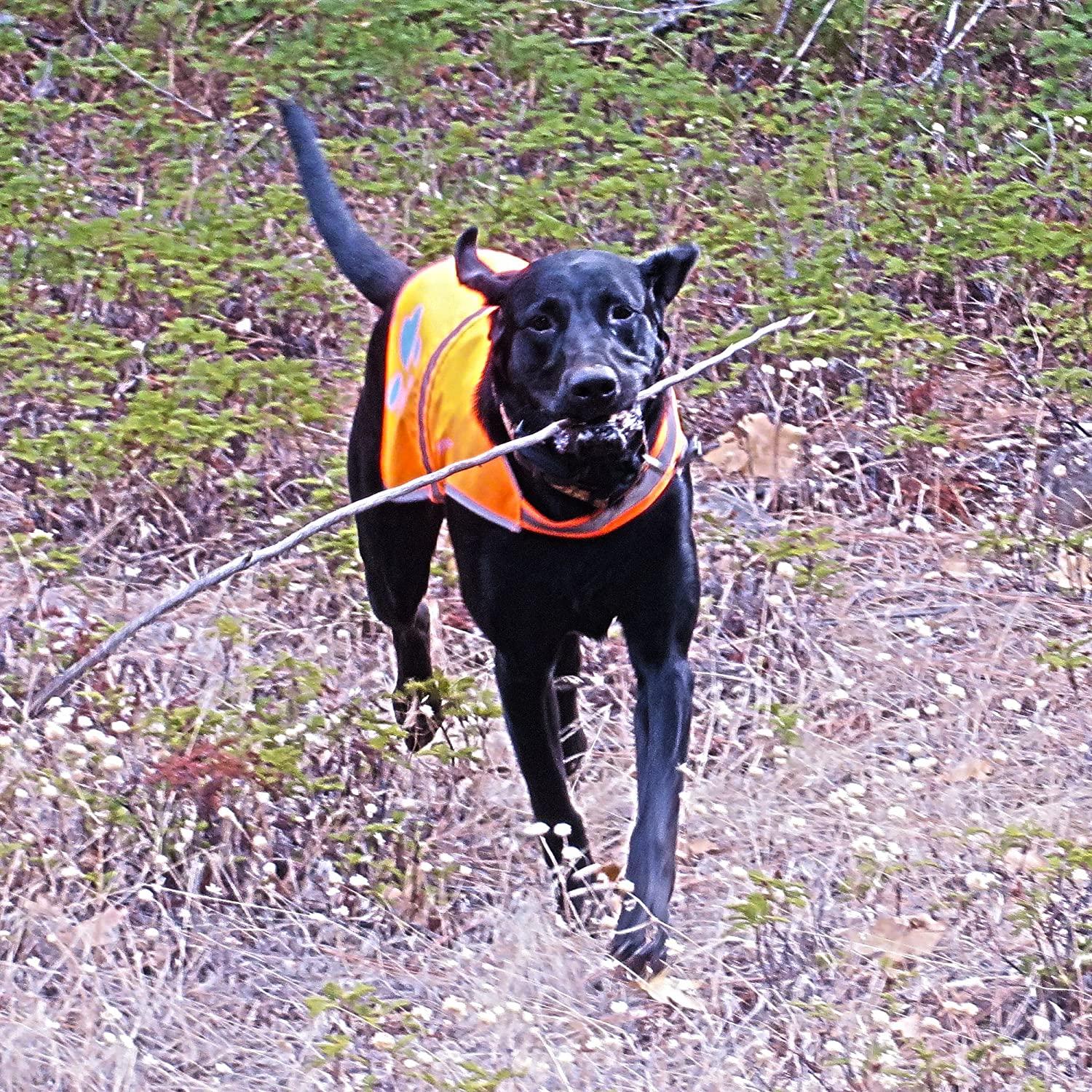 SafetyPUP XD Reflective Dog Vest - Hi-Vis Fluorescent Blaze Orange for ...