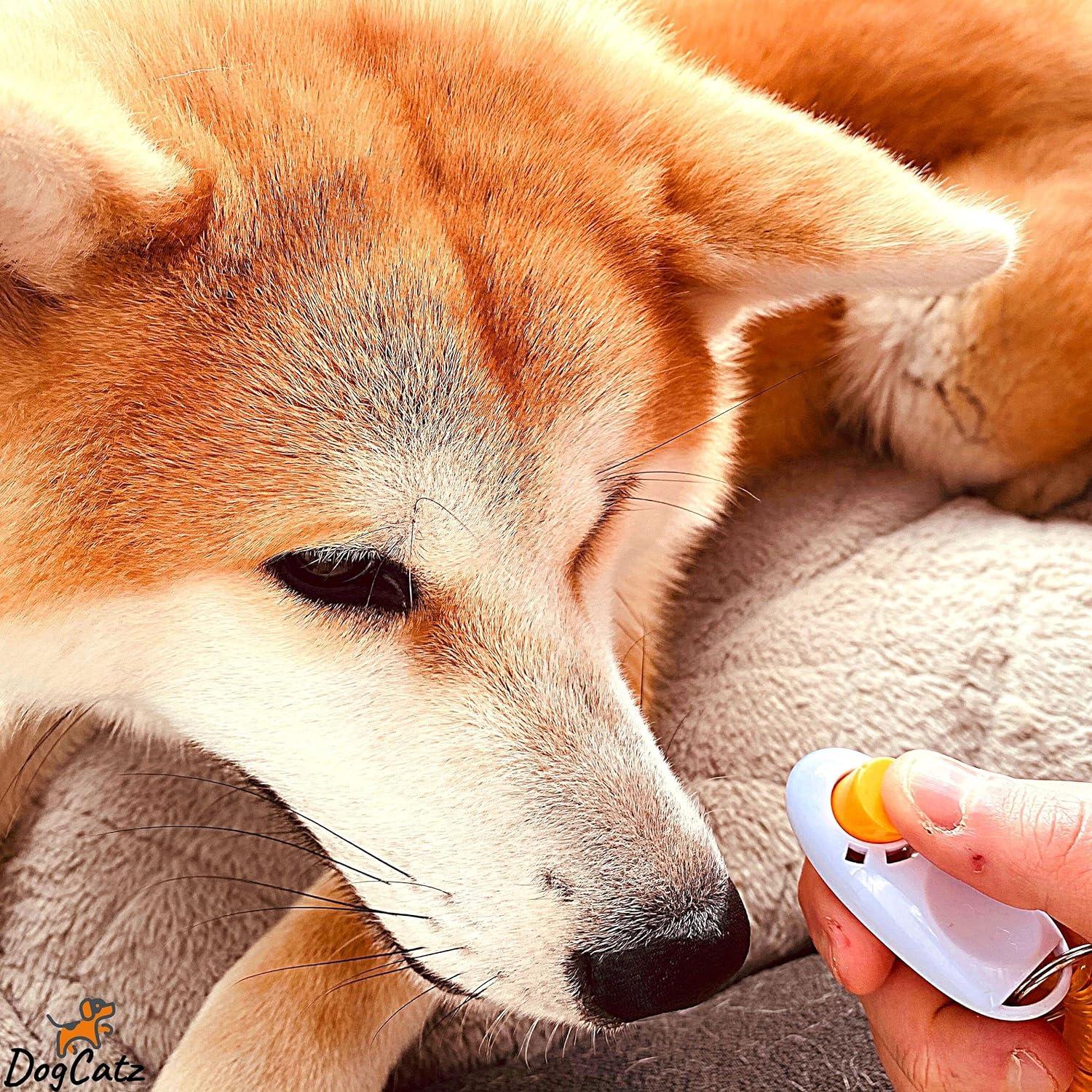 DogCatz Dog Puppy Teardrop Clicker Training Train Your Pet Dogs and ...