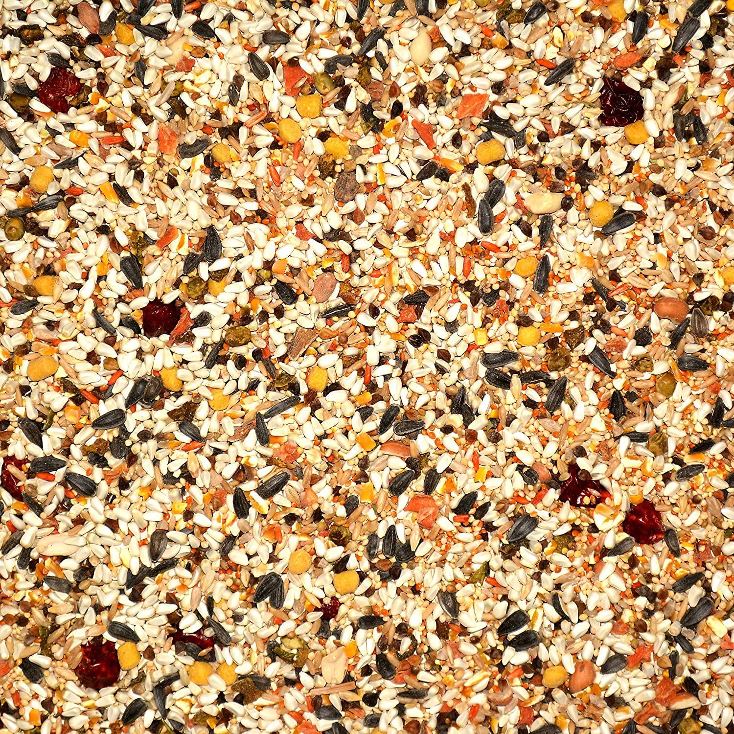 Volkman Avian Parrotlet Diet Bird Food - 4 lbs - Nutritious Blend for ...