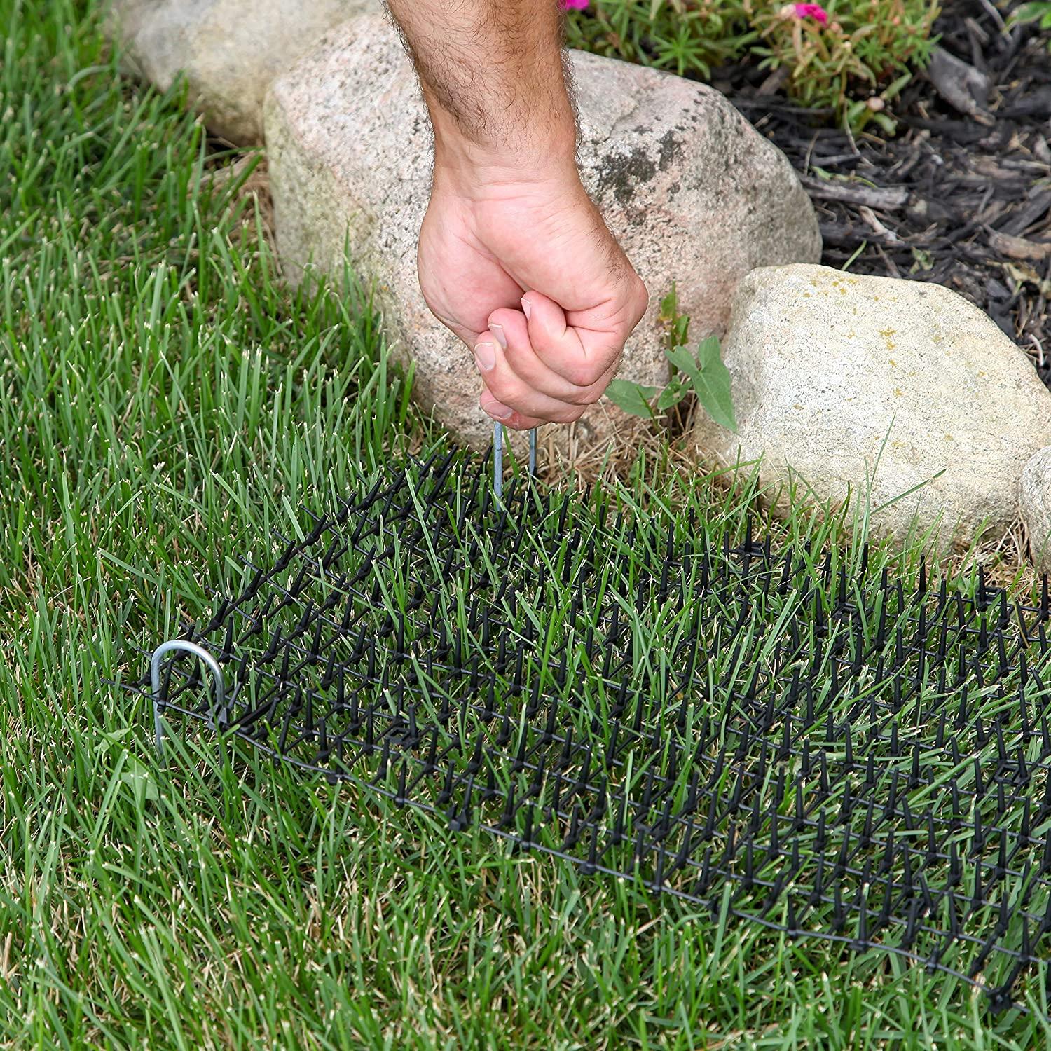 Tapix Cat Scat Mat - Anti-cat Deterrent with Spikes | Indoor/Outdoor ...