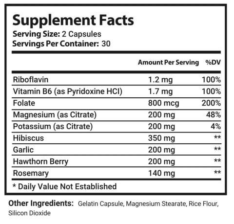 Noocube Brain Productivity Supplement Pills - 60 Capsules | Boost ...