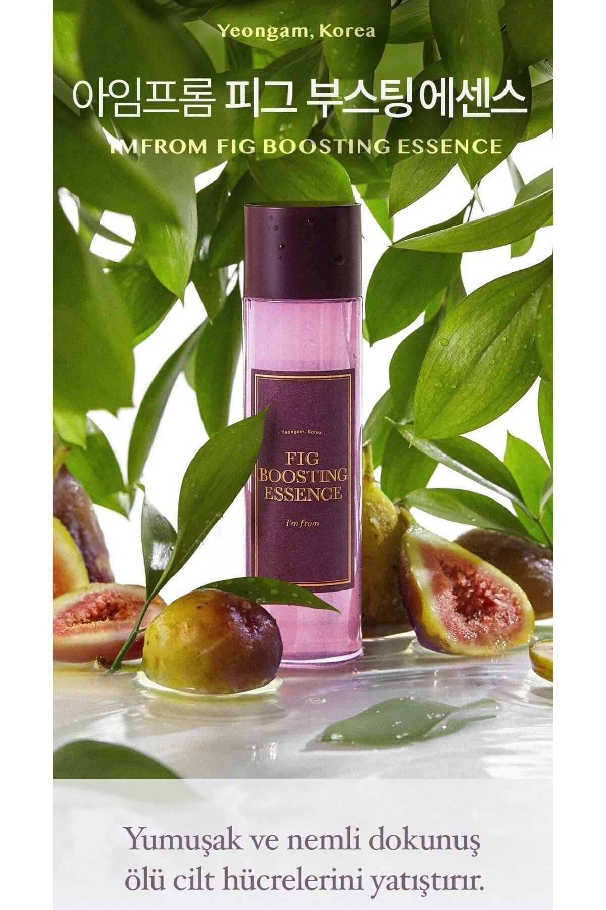 I'm From mini Boy Fig Boosting Essence (KORENDY) Revitalizing Fig ...