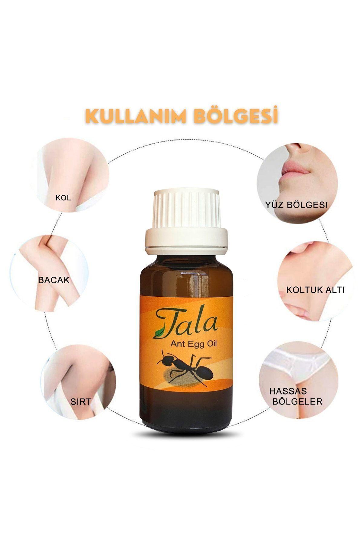 Tala Ant Egg Oil - Snake Oil Introduction Package Original Bandroll and ...
