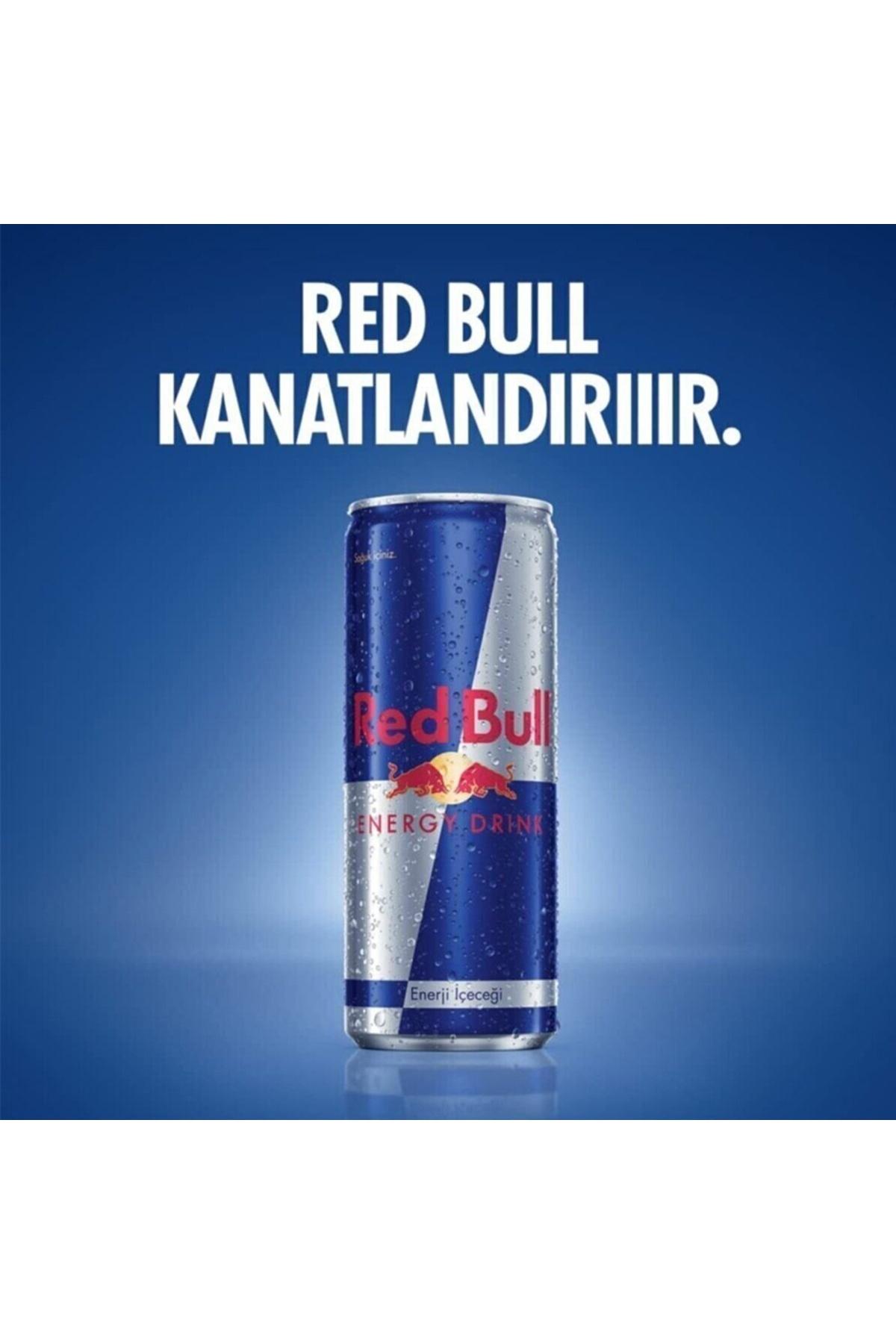 Red Bull Energy Drink 250ml | Buy Now with Express International ...