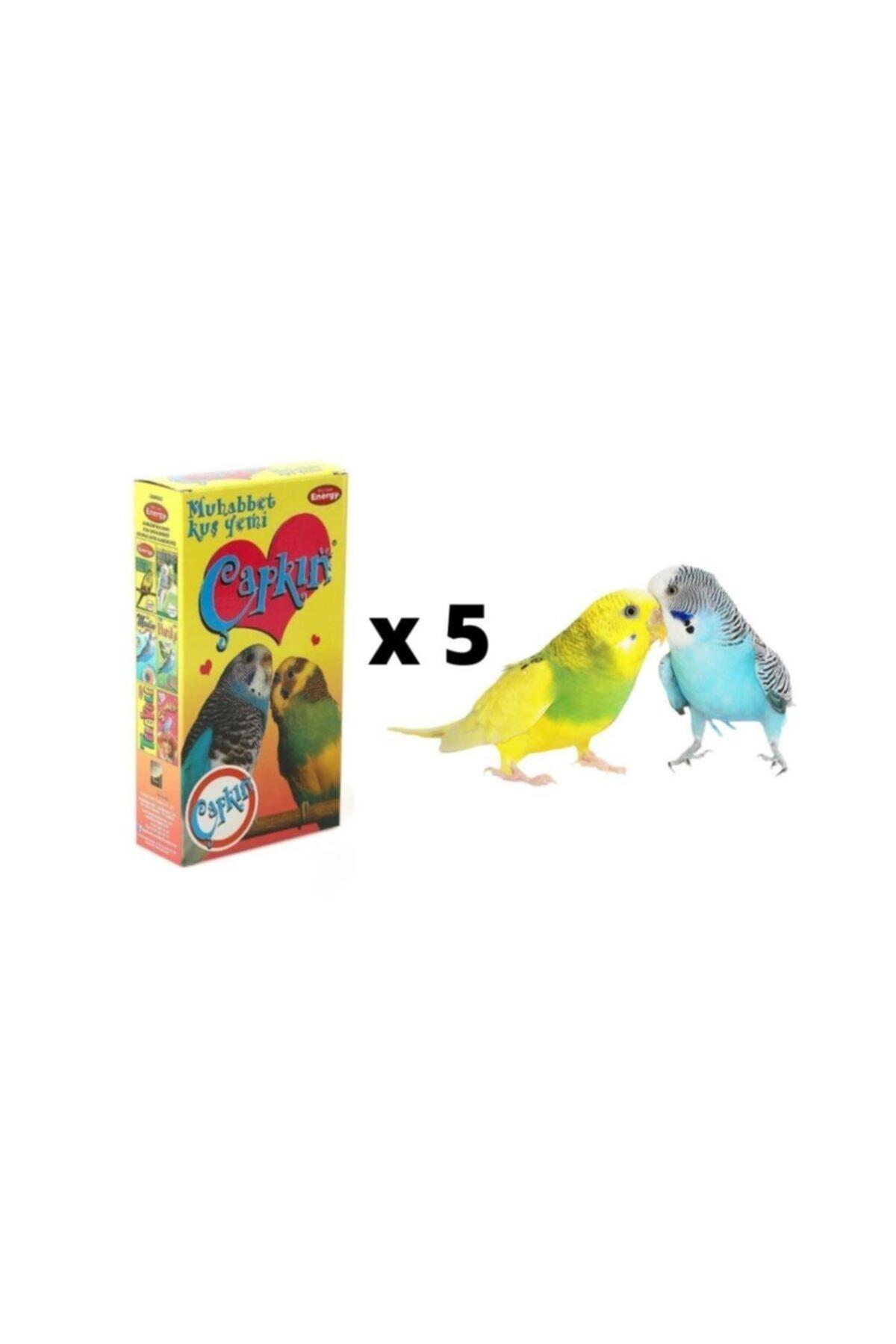 Energy 5-Piece Bird Food apk n Budgie Bird Food Package | Buy Now with ...