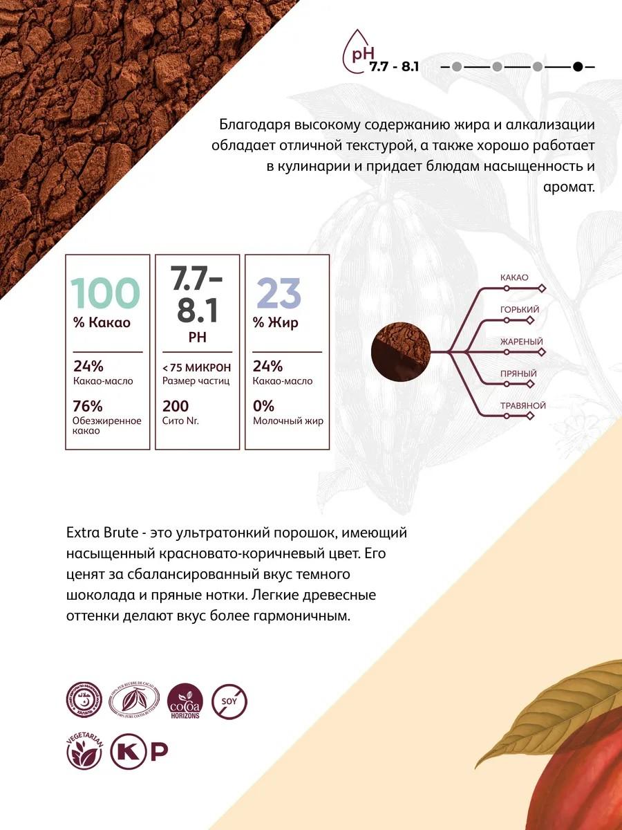 Cacao Barry Cocoa Powder Alcalized Extra Brute (1 kg) | Buy Now with ...