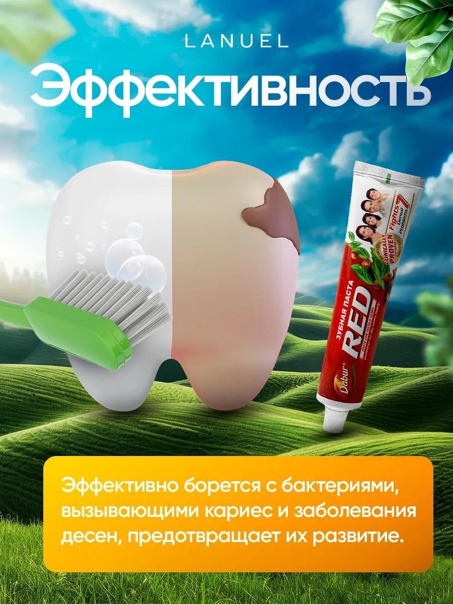 Toothpaste Indian Dabur Red Red 200 g 2 pcs | Buy Now with Express ...