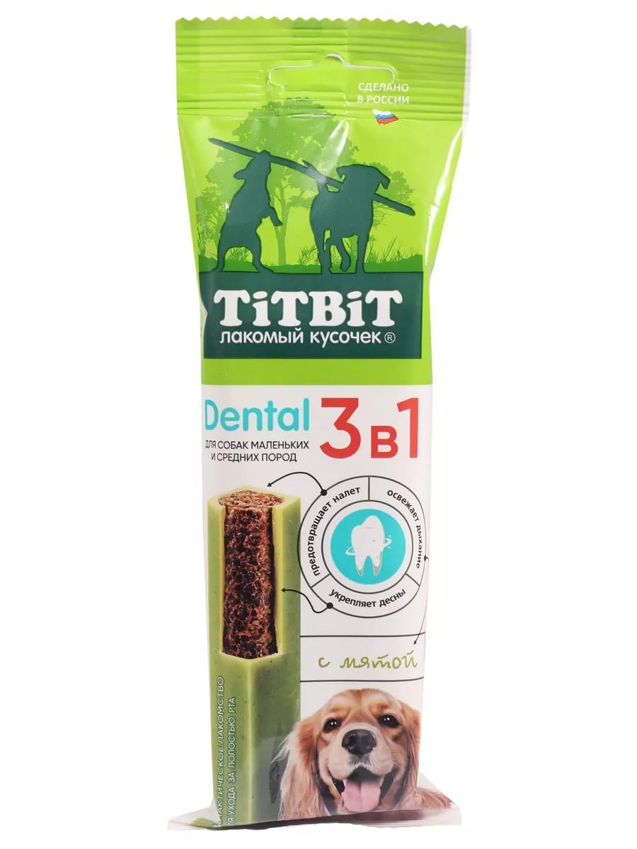 Titbit Dental 3V1 with mint 110g | Buy Now with Express International ...