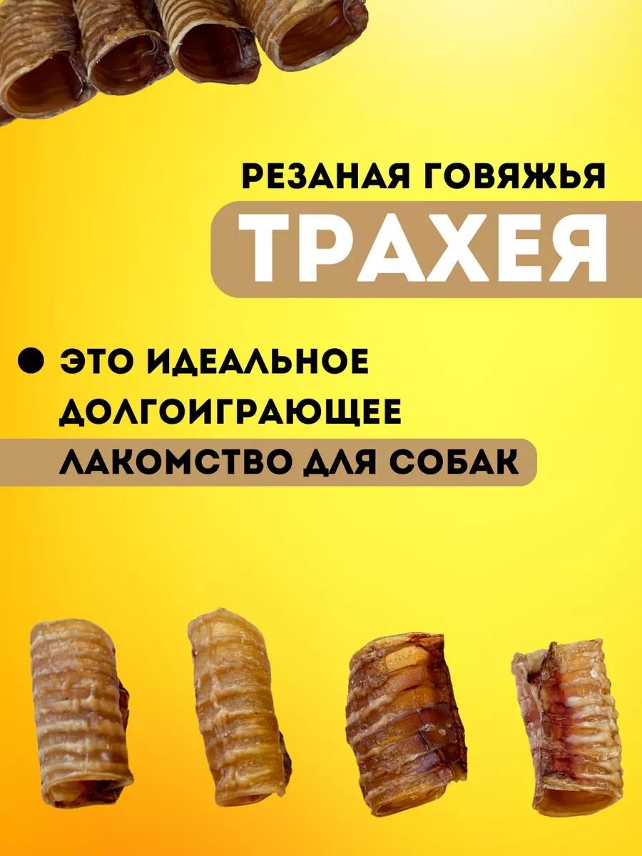 Hashtag Trachea of beef dried treat for dogs 200 grams | Buy Now with ...