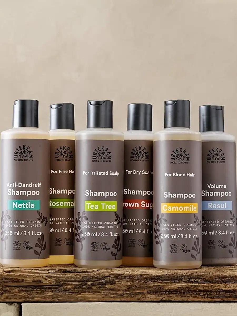 Urtekram Shampoo for oily hair with volcanic clay reason 250ml | Buy ...