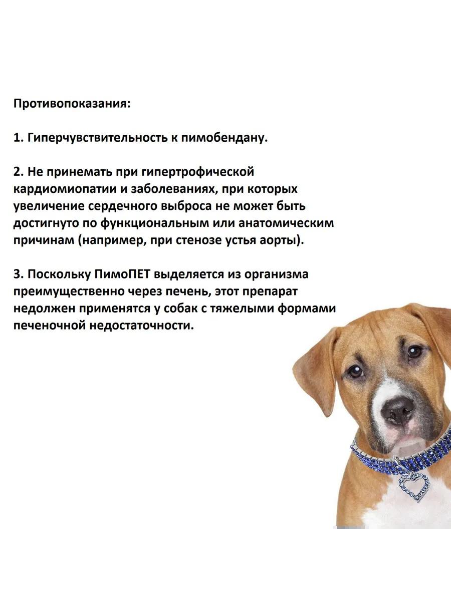GIGI Pimo Pet 5mg for diseases of the heart in dogs tablets No. 100 ...