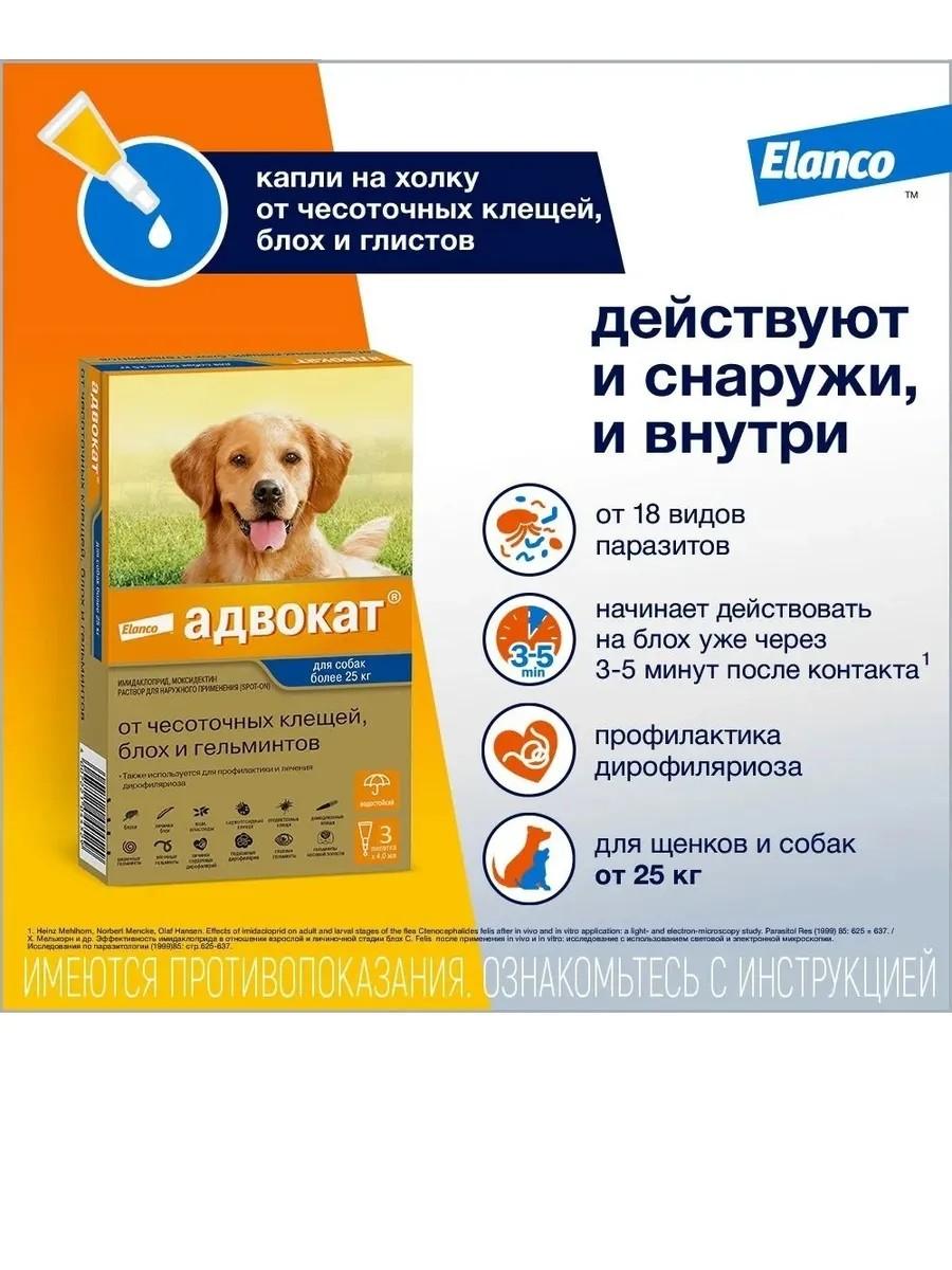 Bayer Antiparasitar for dogs of more than 25 kg of 3 -pipetics*4ml ...