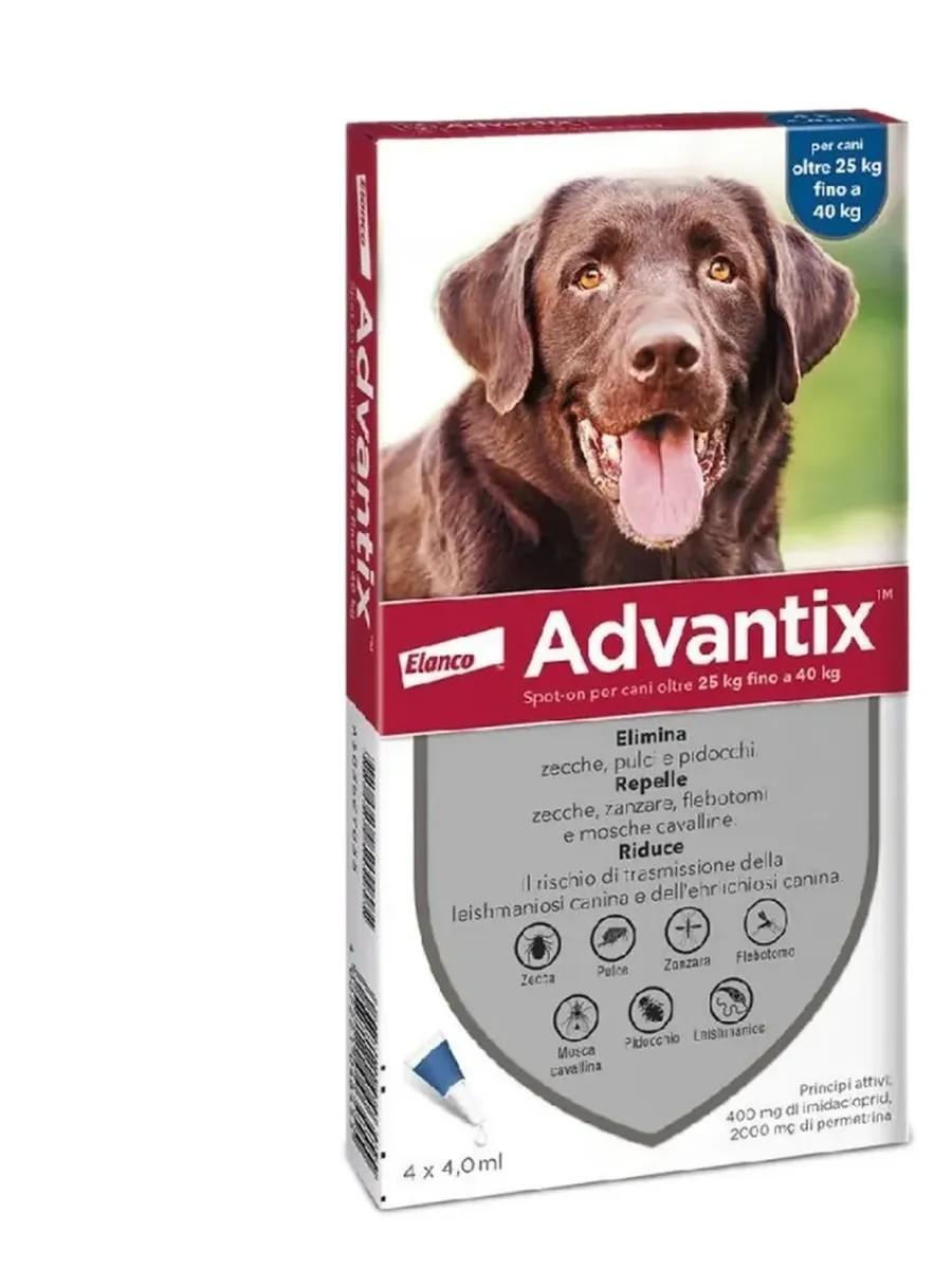 Bayer Advantics from fleas ticks mosquitoes 25-40kg (term | Buy Now ...