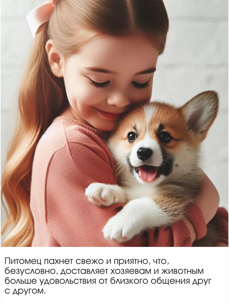 Green Day Shampoo for puppies and kittens 400 ml eco | Buy Now with ...