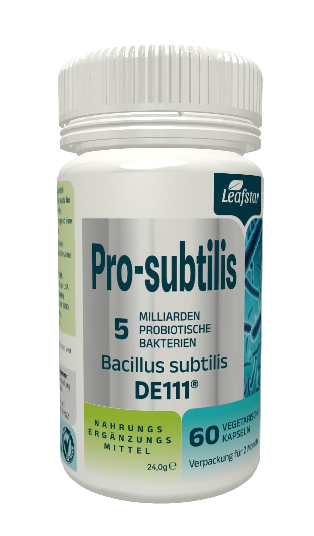 bacillus subtilis probiotic